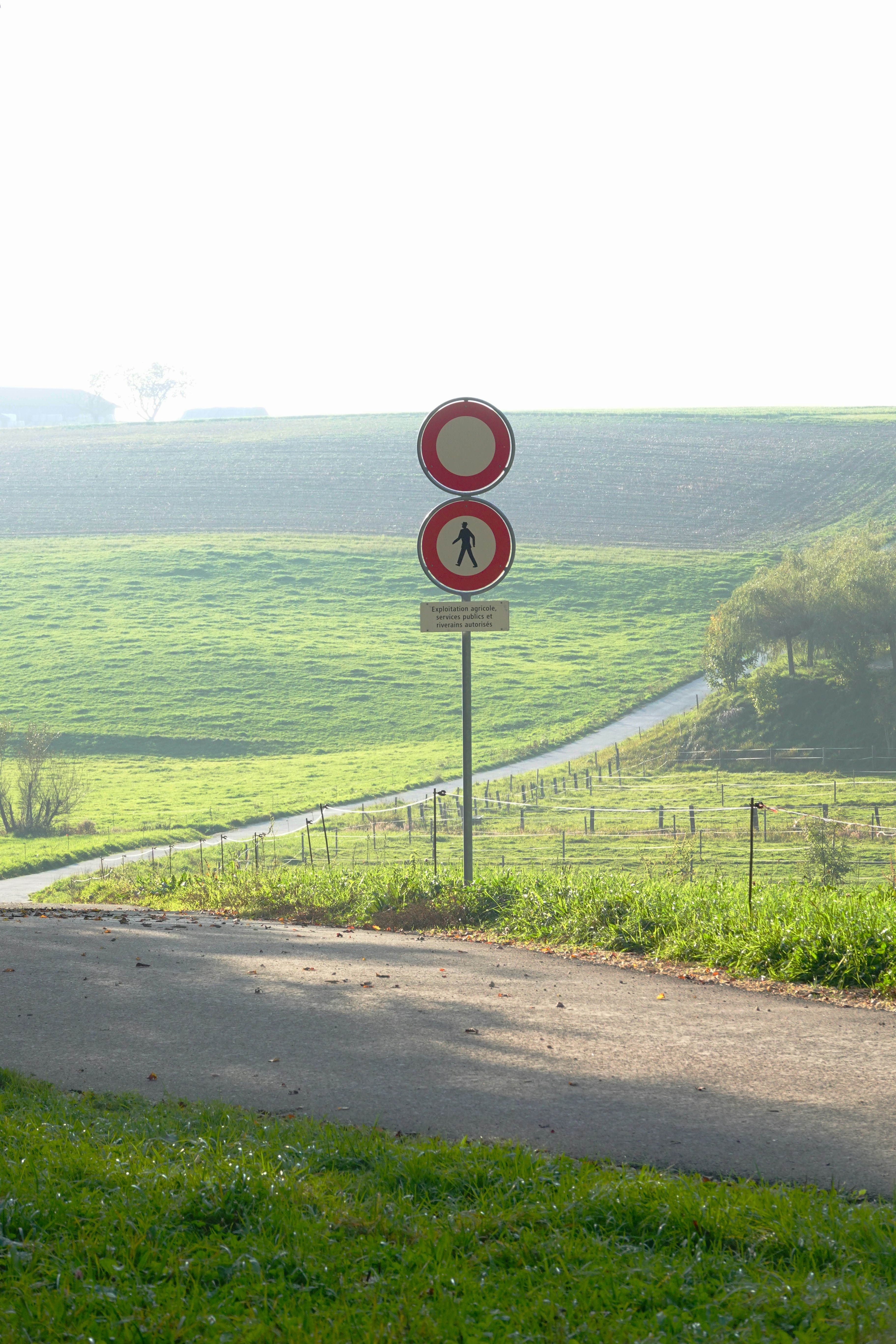 Signpost marking pedestrian access along a winding path through lush green fields under a soft morning haze.