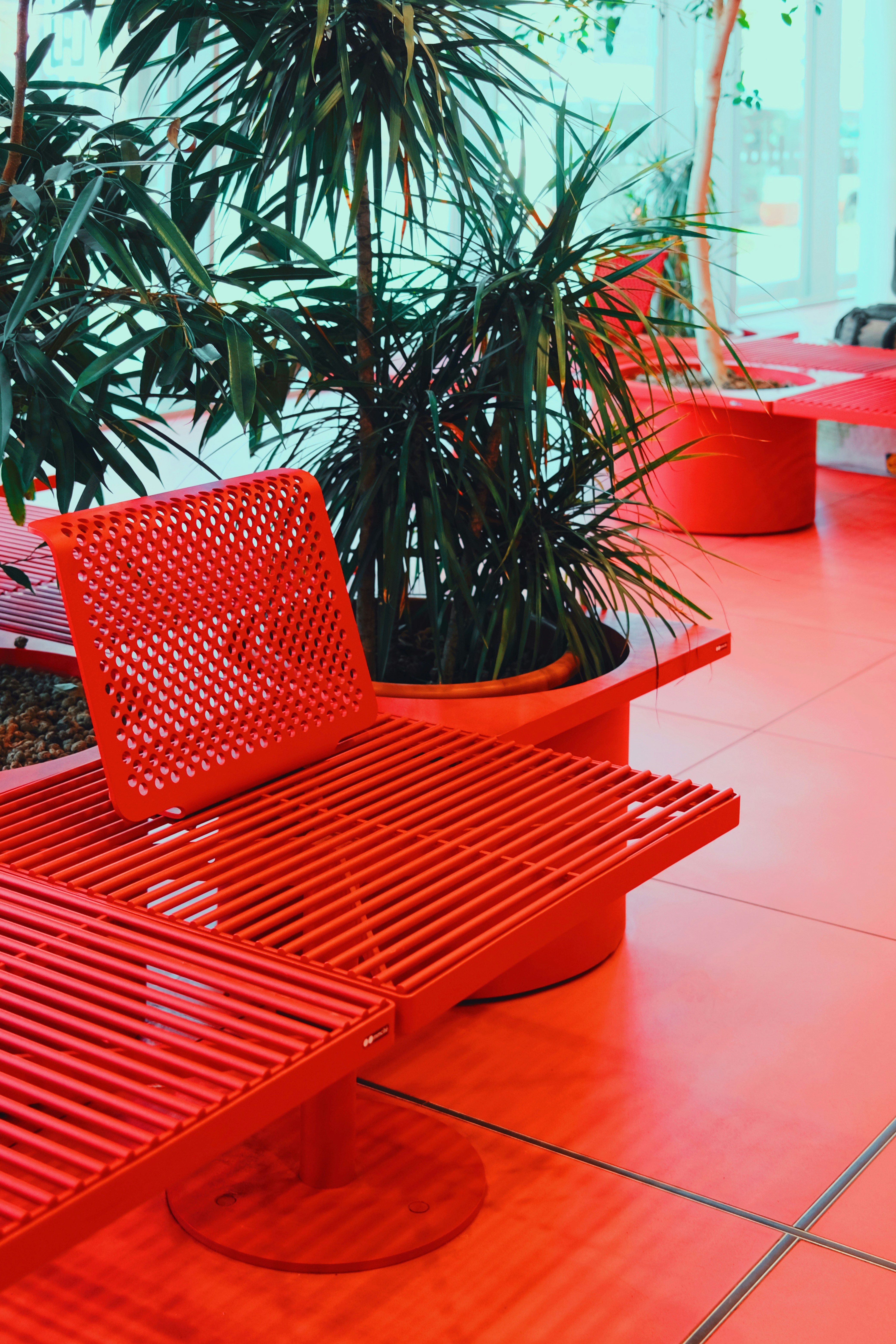 Crimson Slatted Benches Meet Tropical Foliage in a Modern Atrium