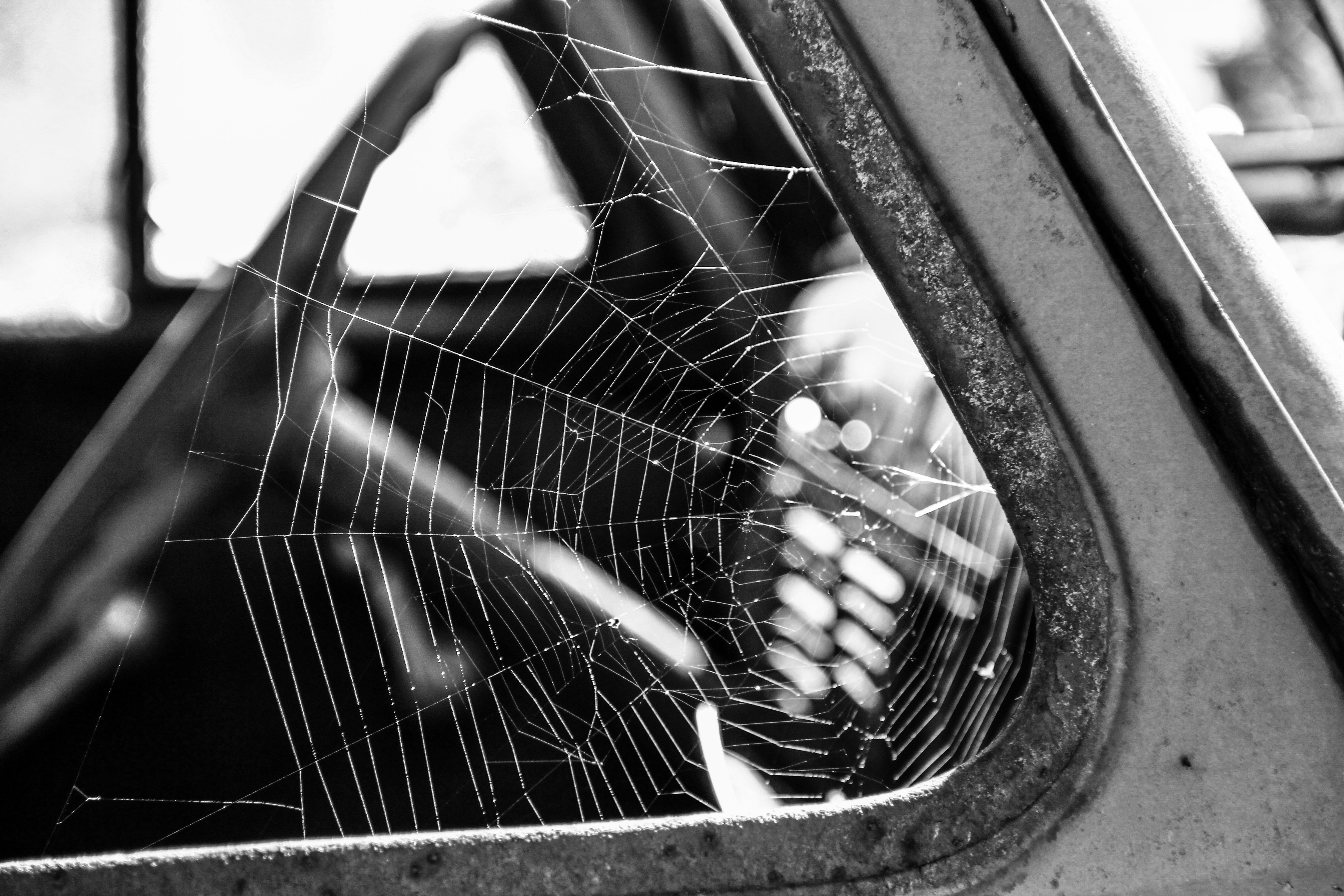 Web of Steel: Spiderweb Lace on Weathered Frame