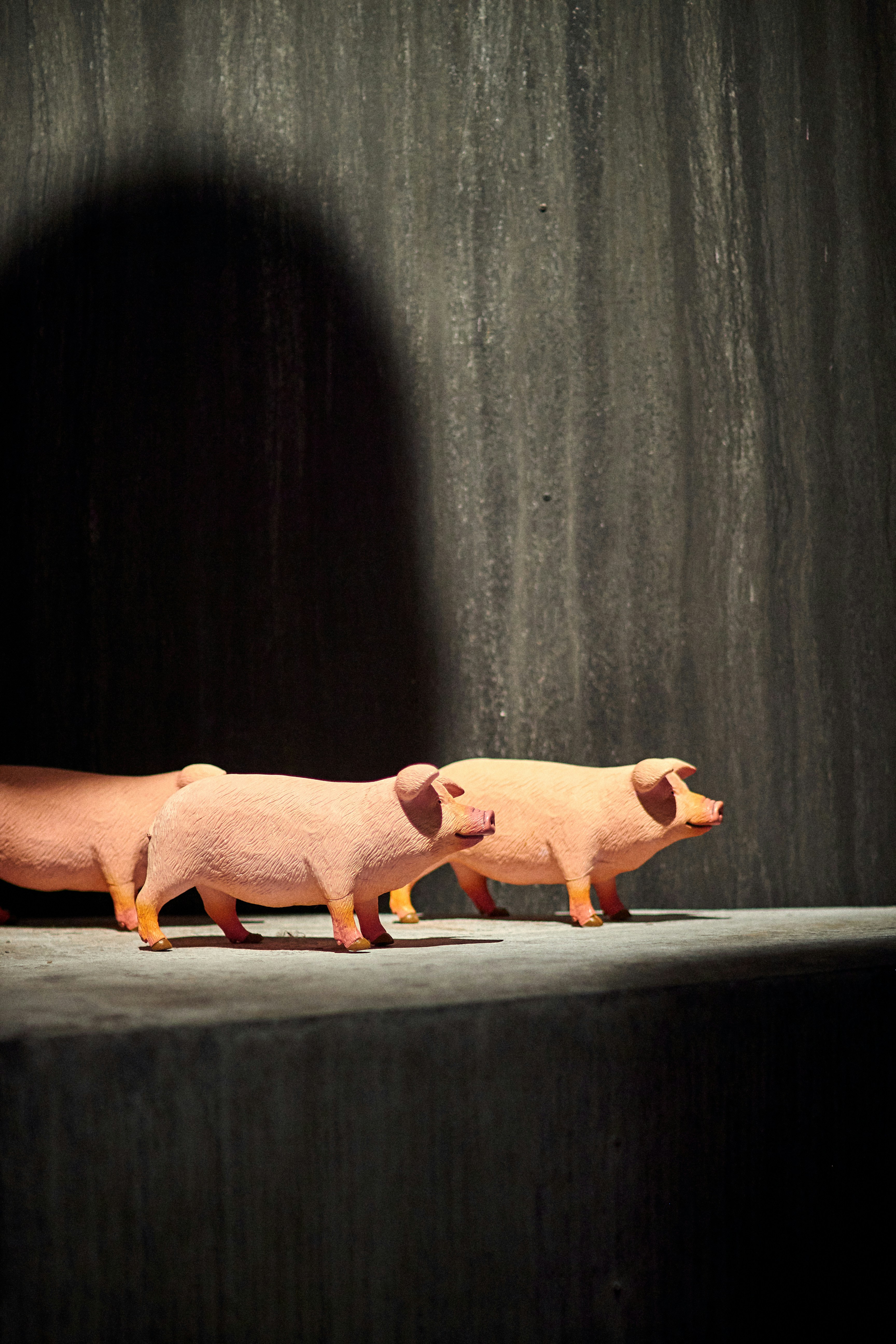 Three pink pig figurines parade along a concrete ledge