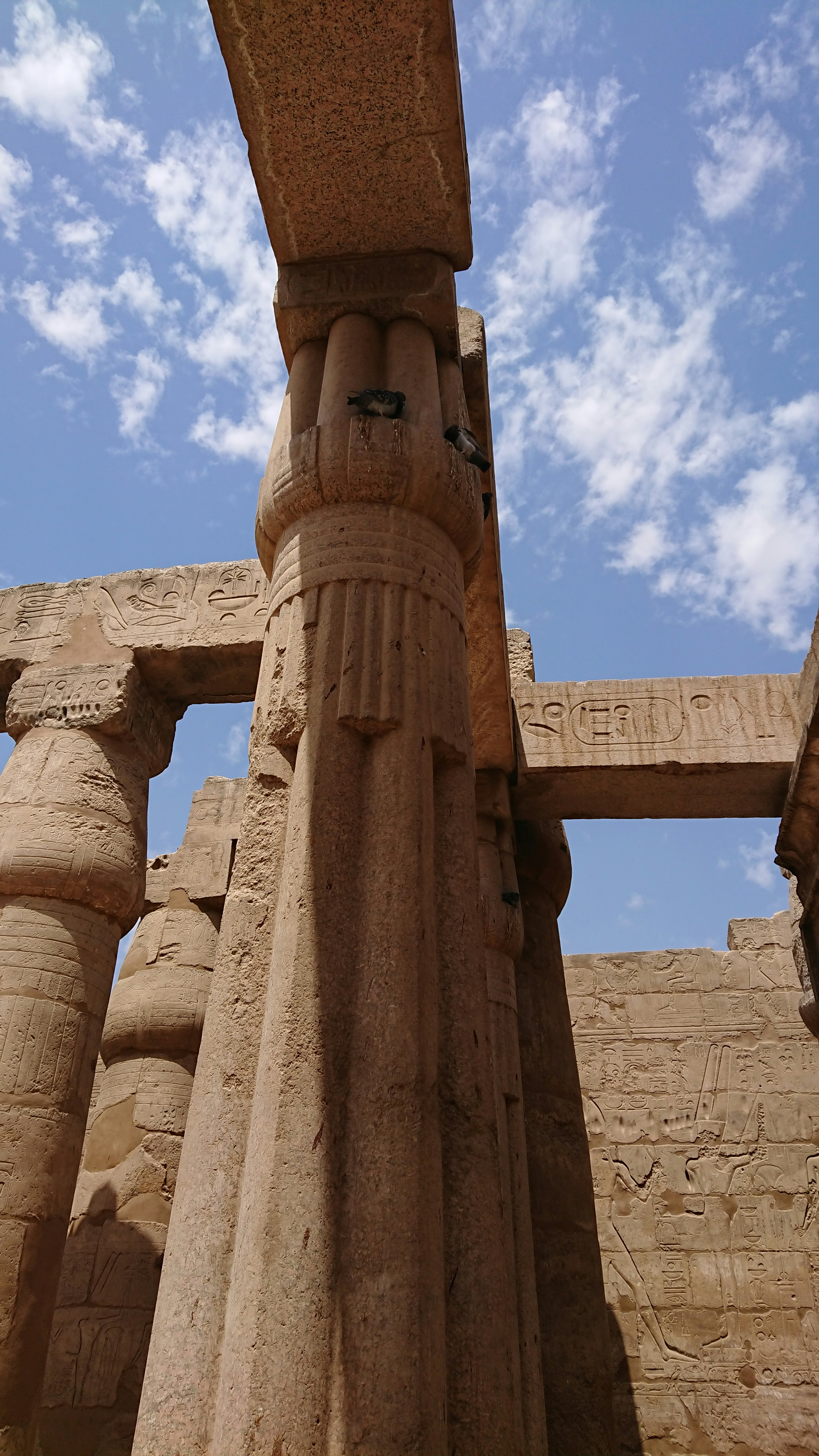 Sample photo from Sony Xperia XZ1