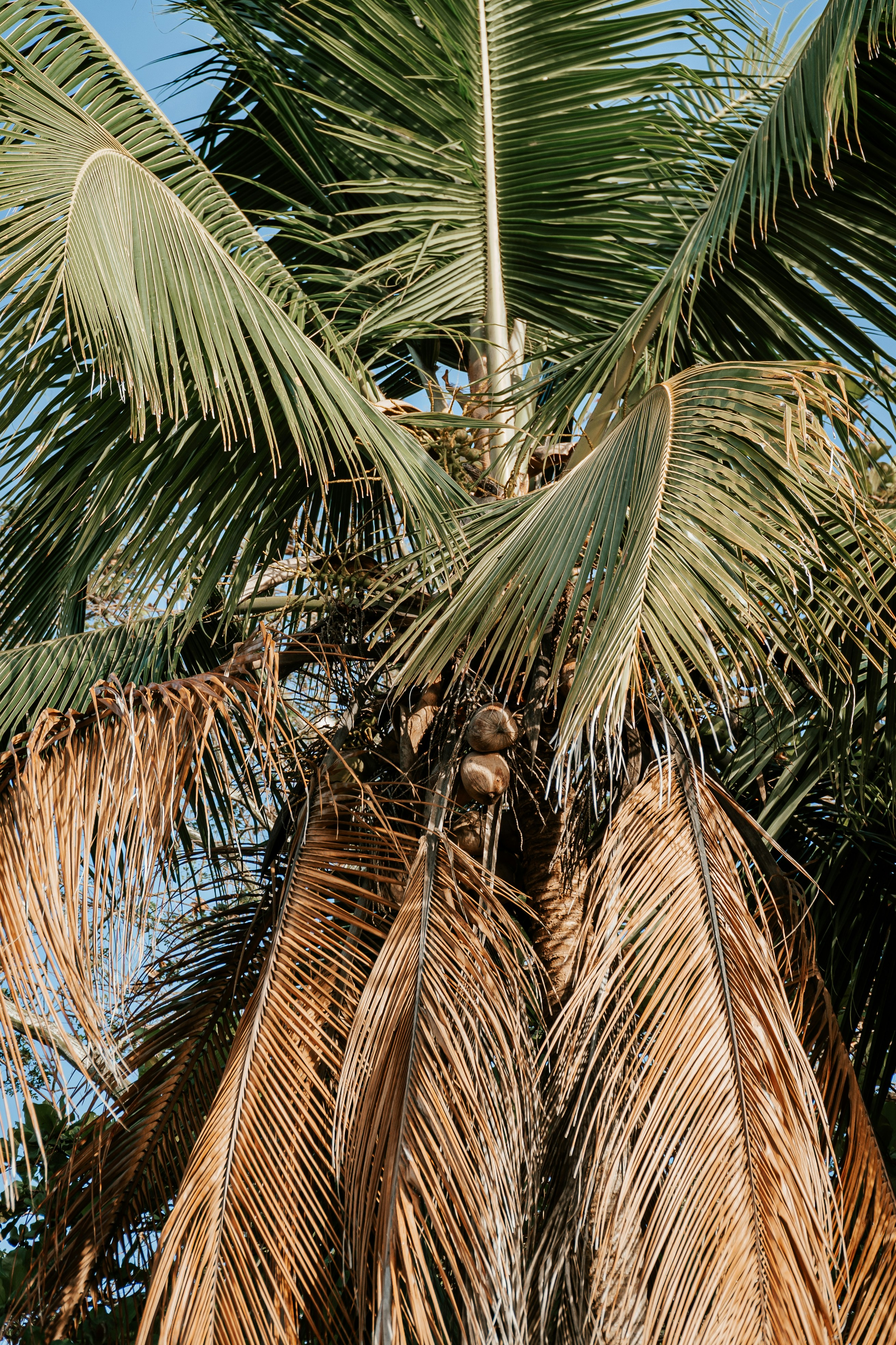 Photo by Frames For Your Heart with Sony Alpha 7 III