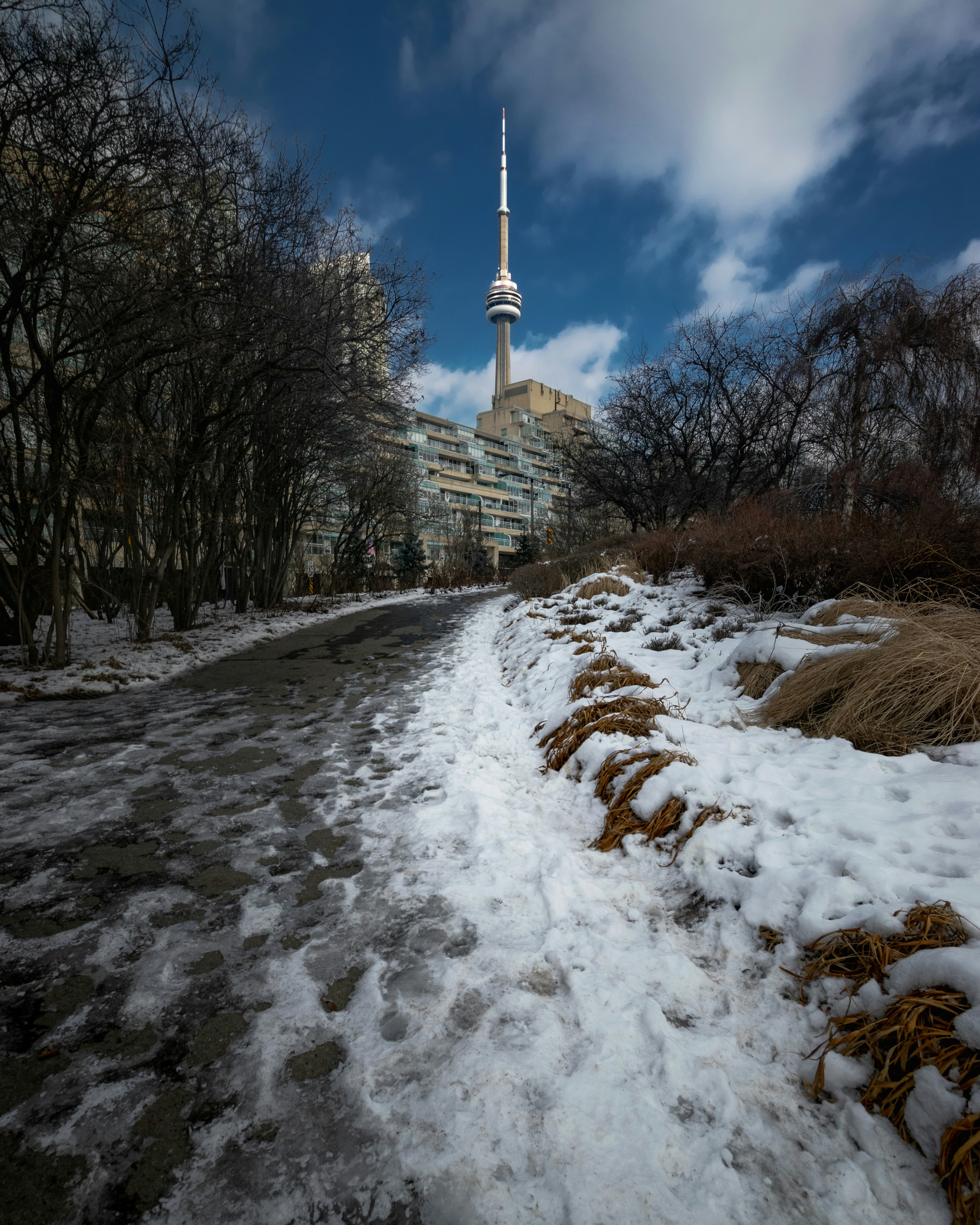 Toronto Music Garden, Harbourfront. Canadá. Winter day.