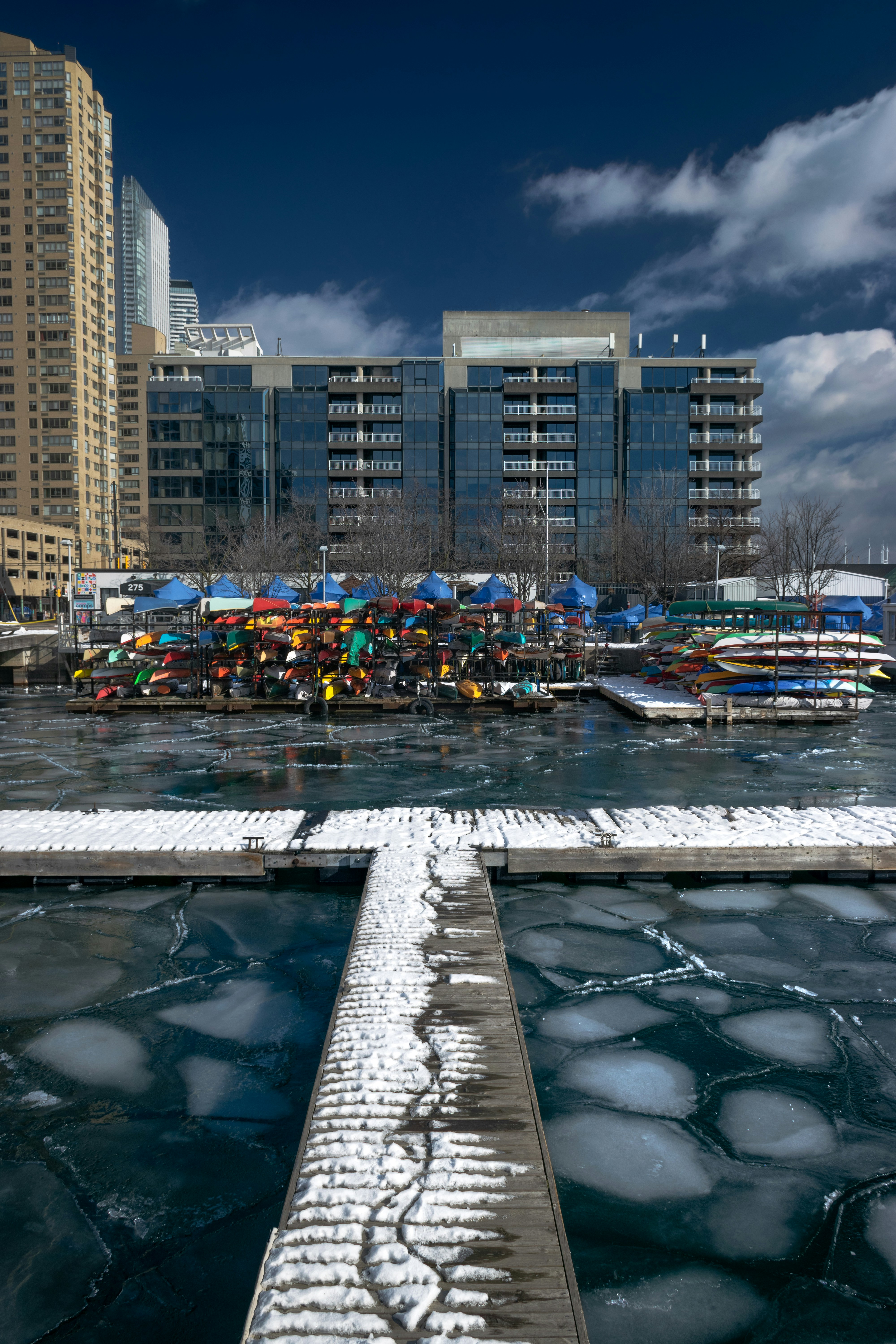 Icy Dock Converges on a Colorful City Marina