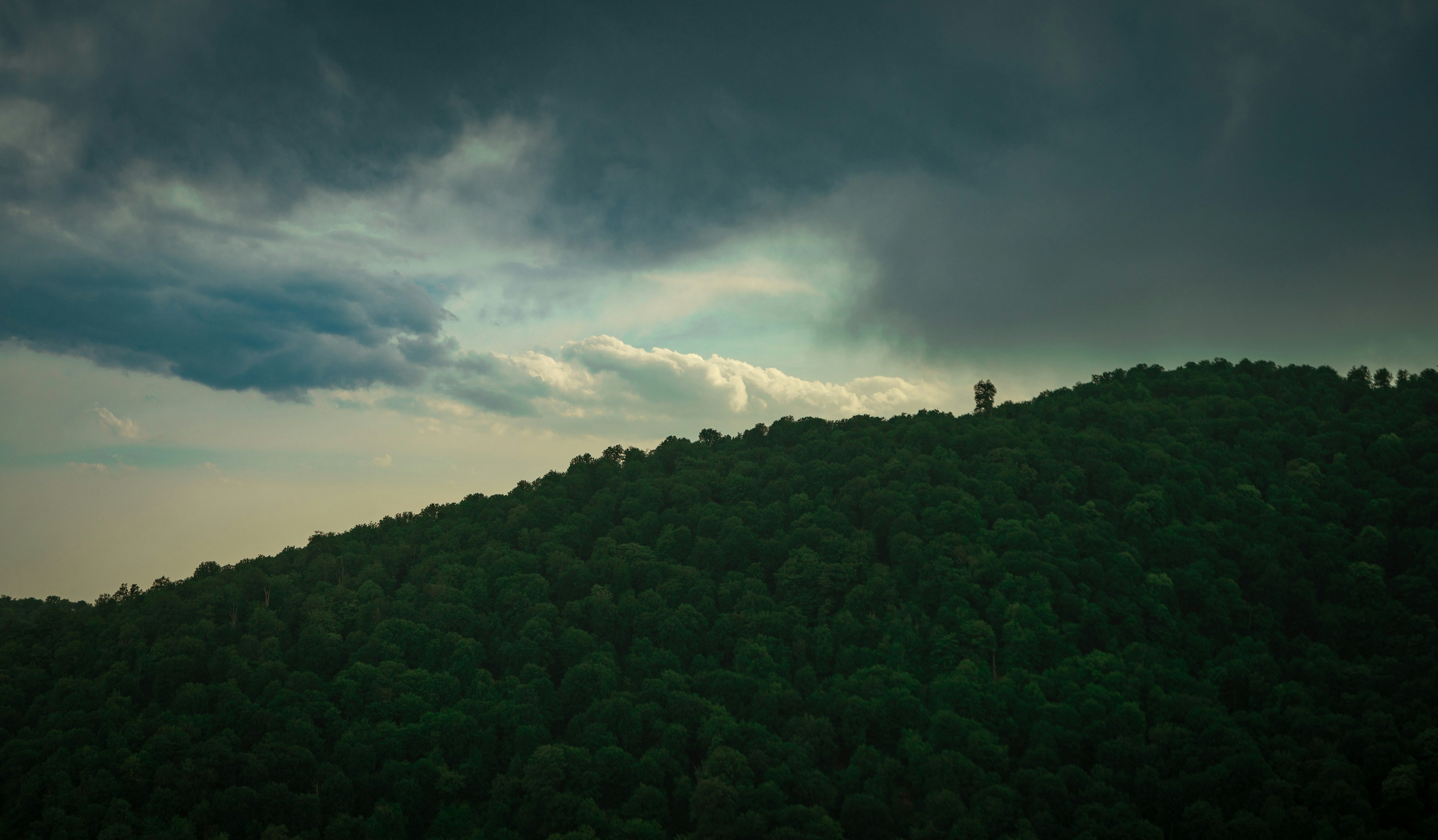 A large hill with trees on it under a cloudy sky photo – Free Wallpaper ...