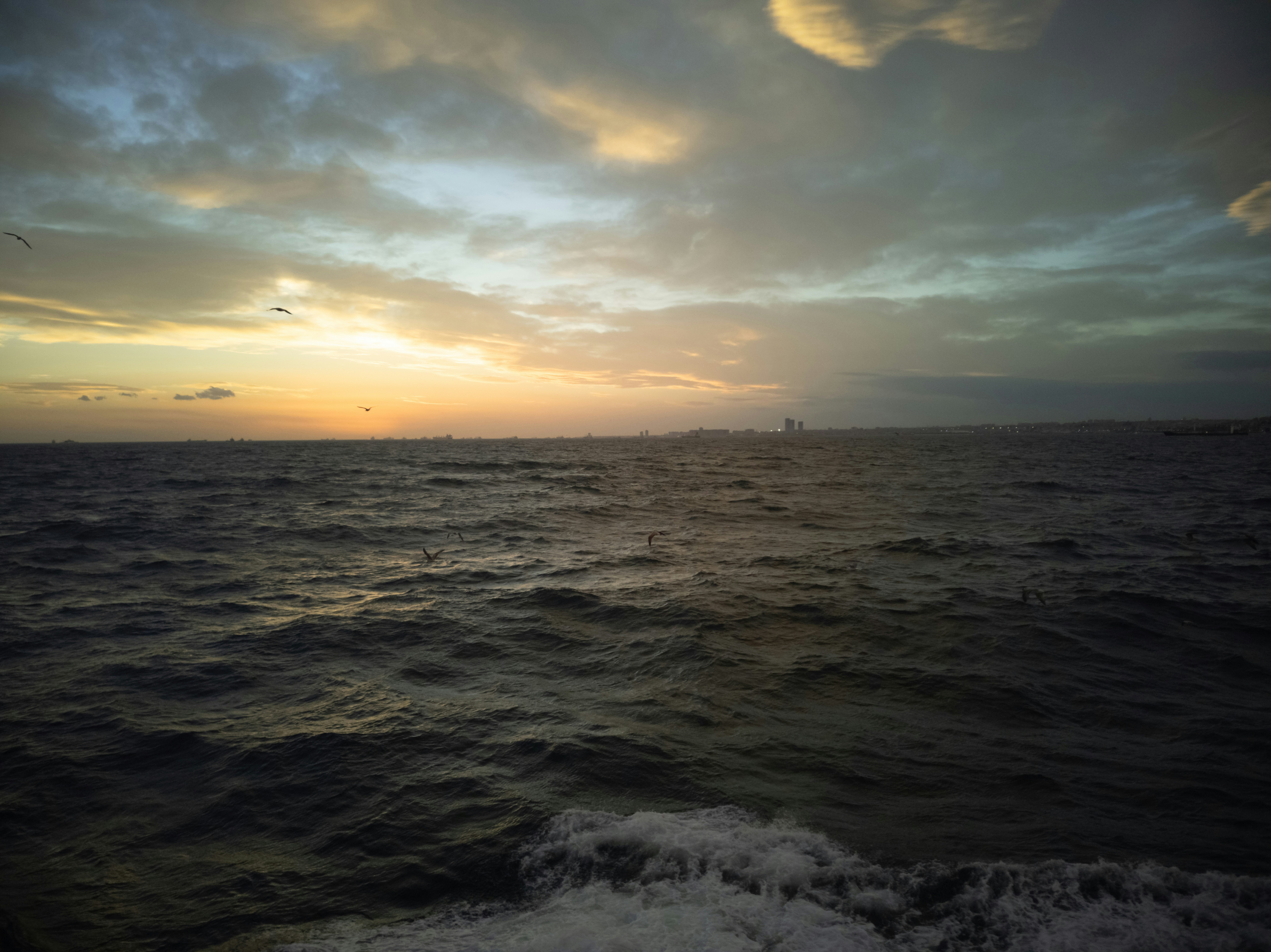 1000+ Sea Aesthetic Pictures | Download Free Images on Unsplash