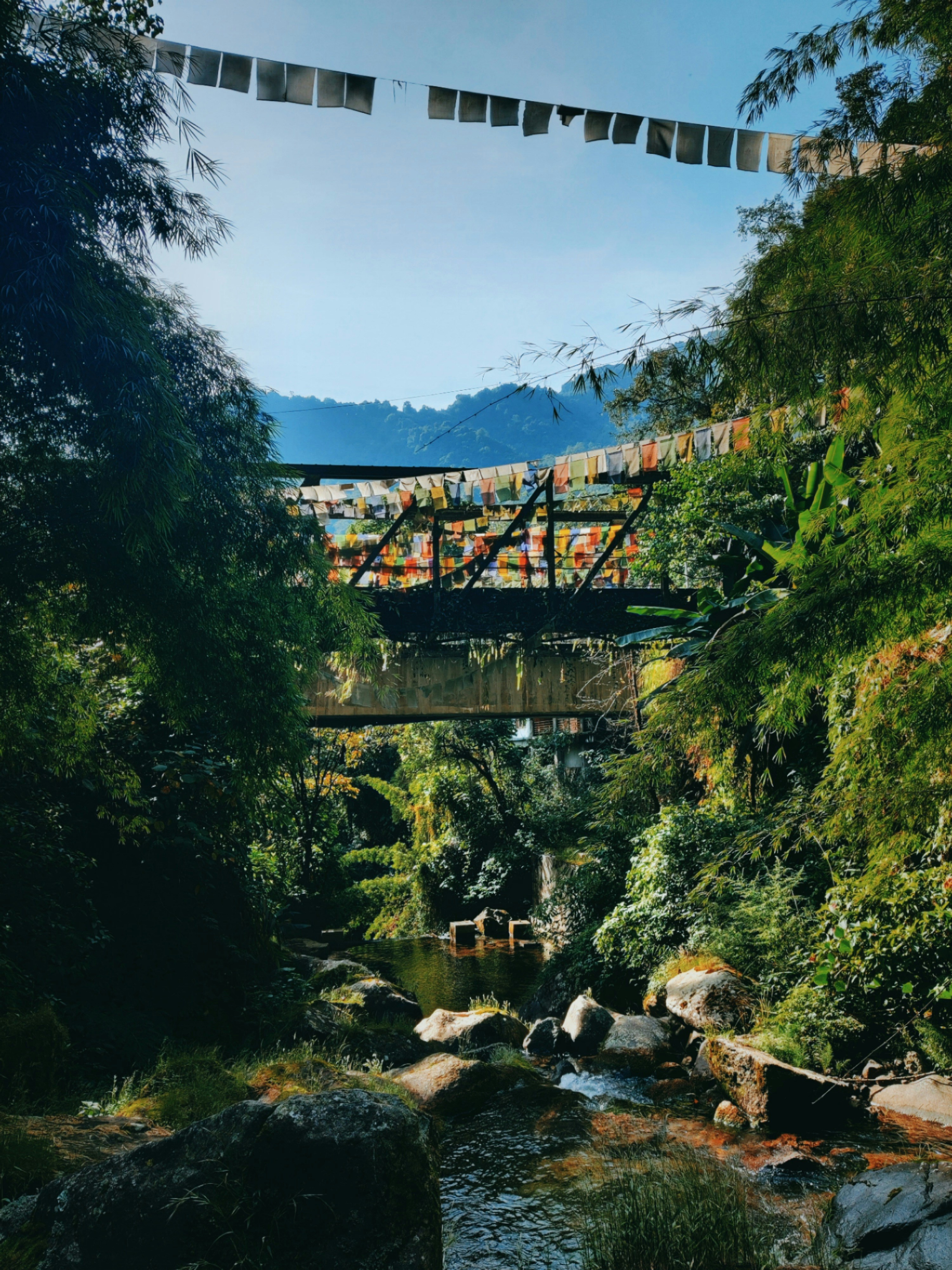 Bridge of Color: Prayer Flags Over a Lush Mountain Stream