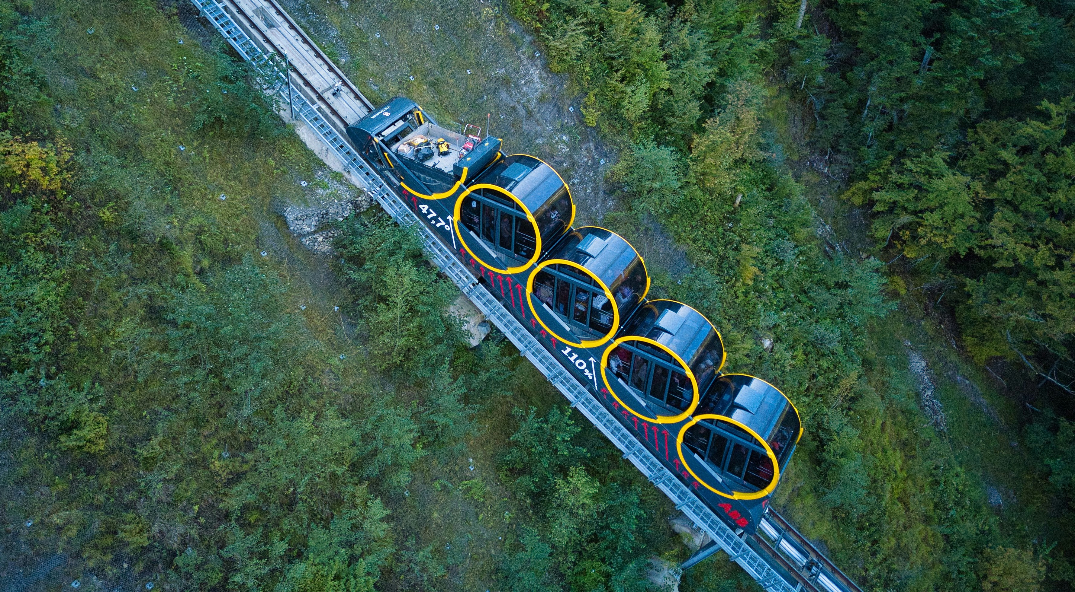 Gondola Cadence: Yellow-Rimmed Cabins Across a Dense Forest