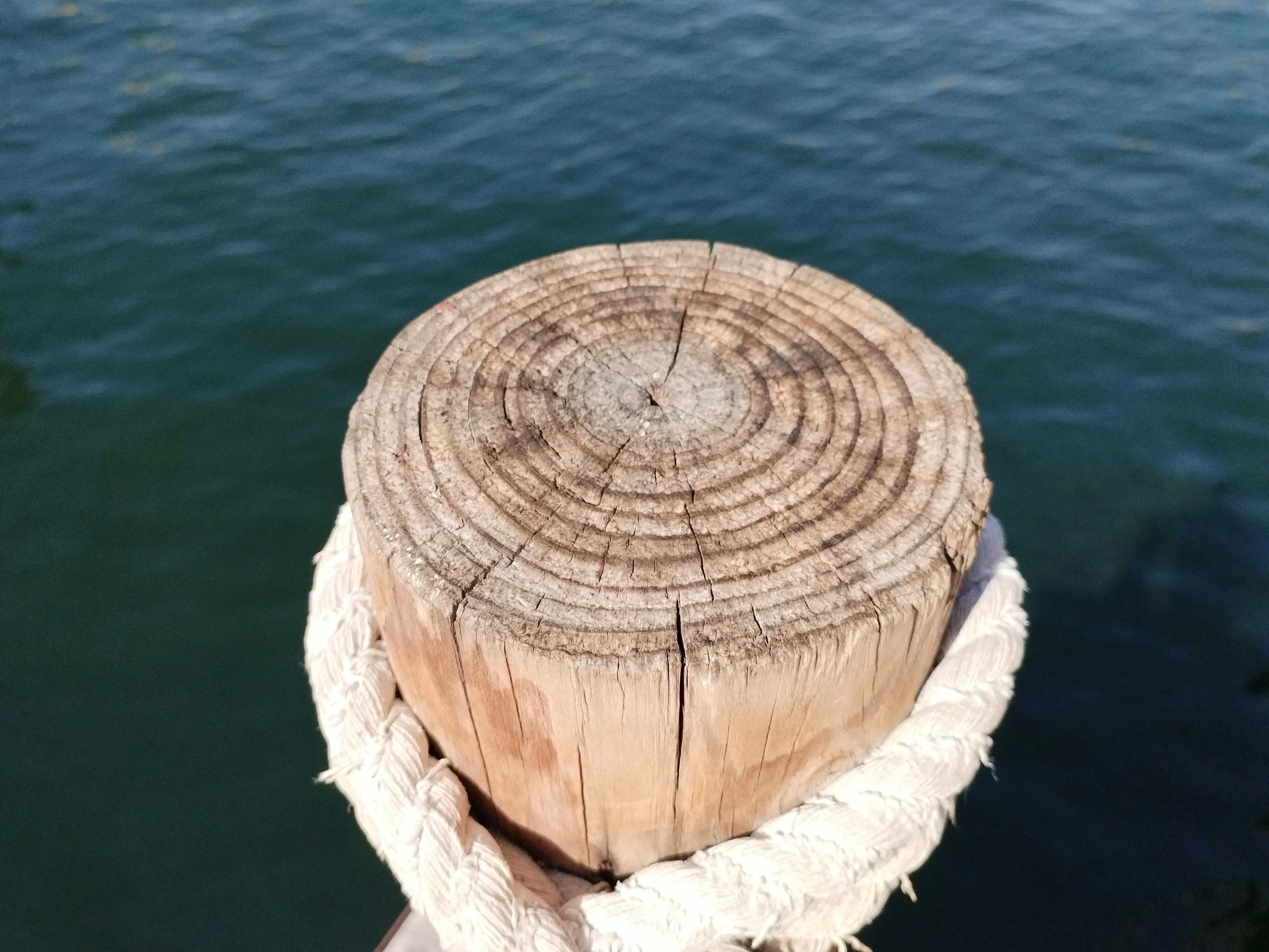 a piece of wood sitting on top of a wooden dock