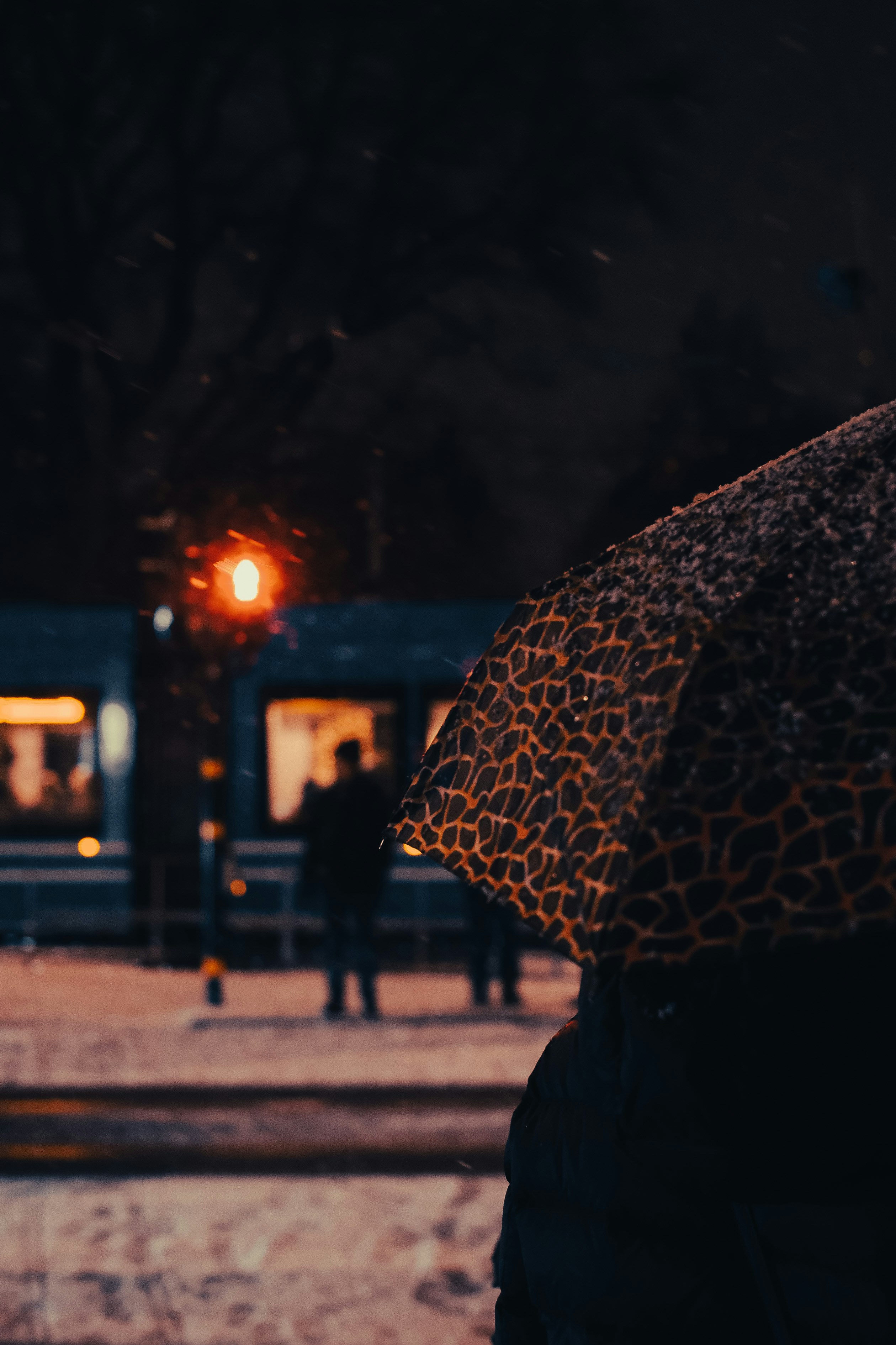 Stockholm by night in December