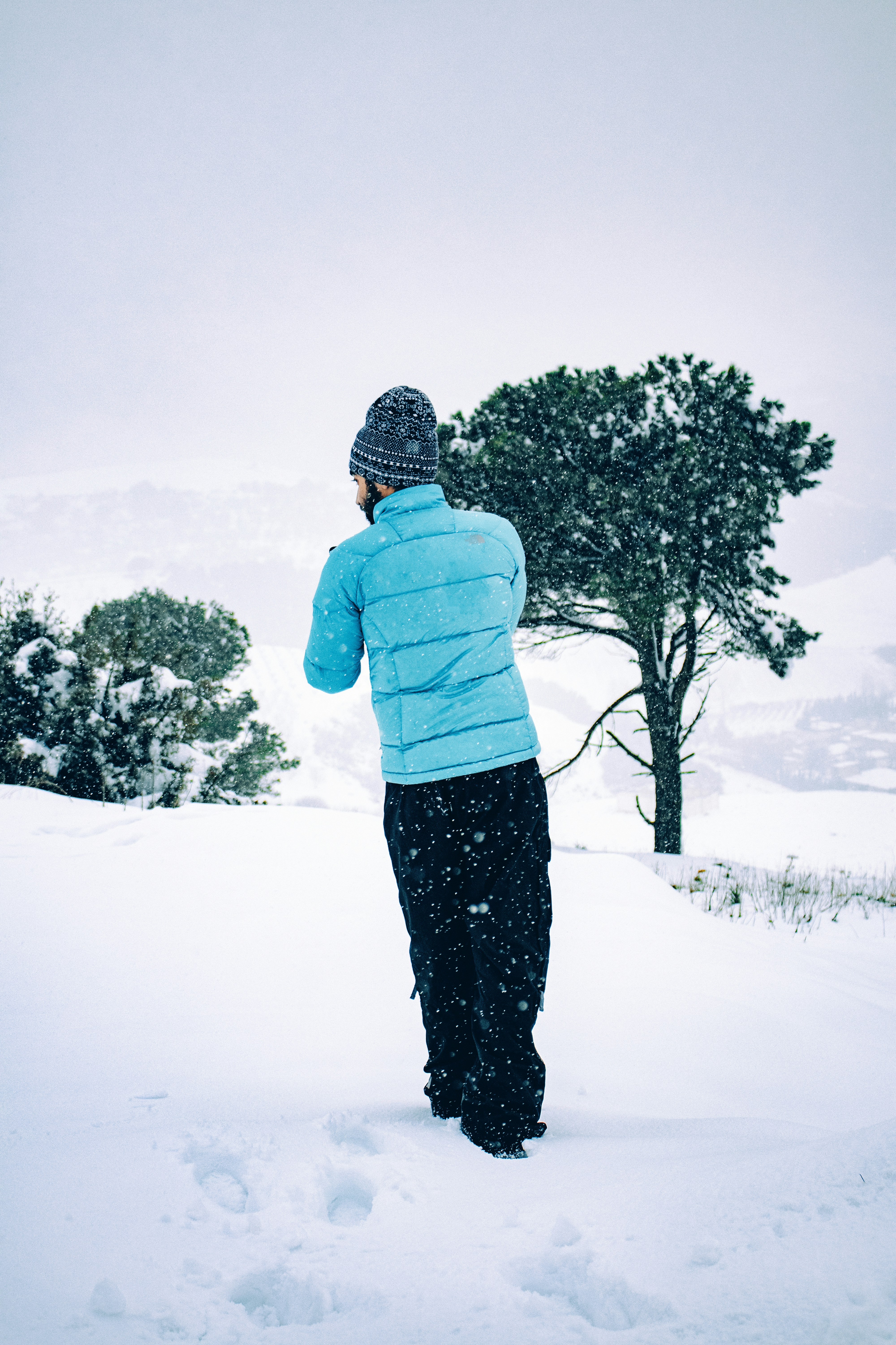 A person standing in the snow near a tree photo – Free Algeria Image on ...