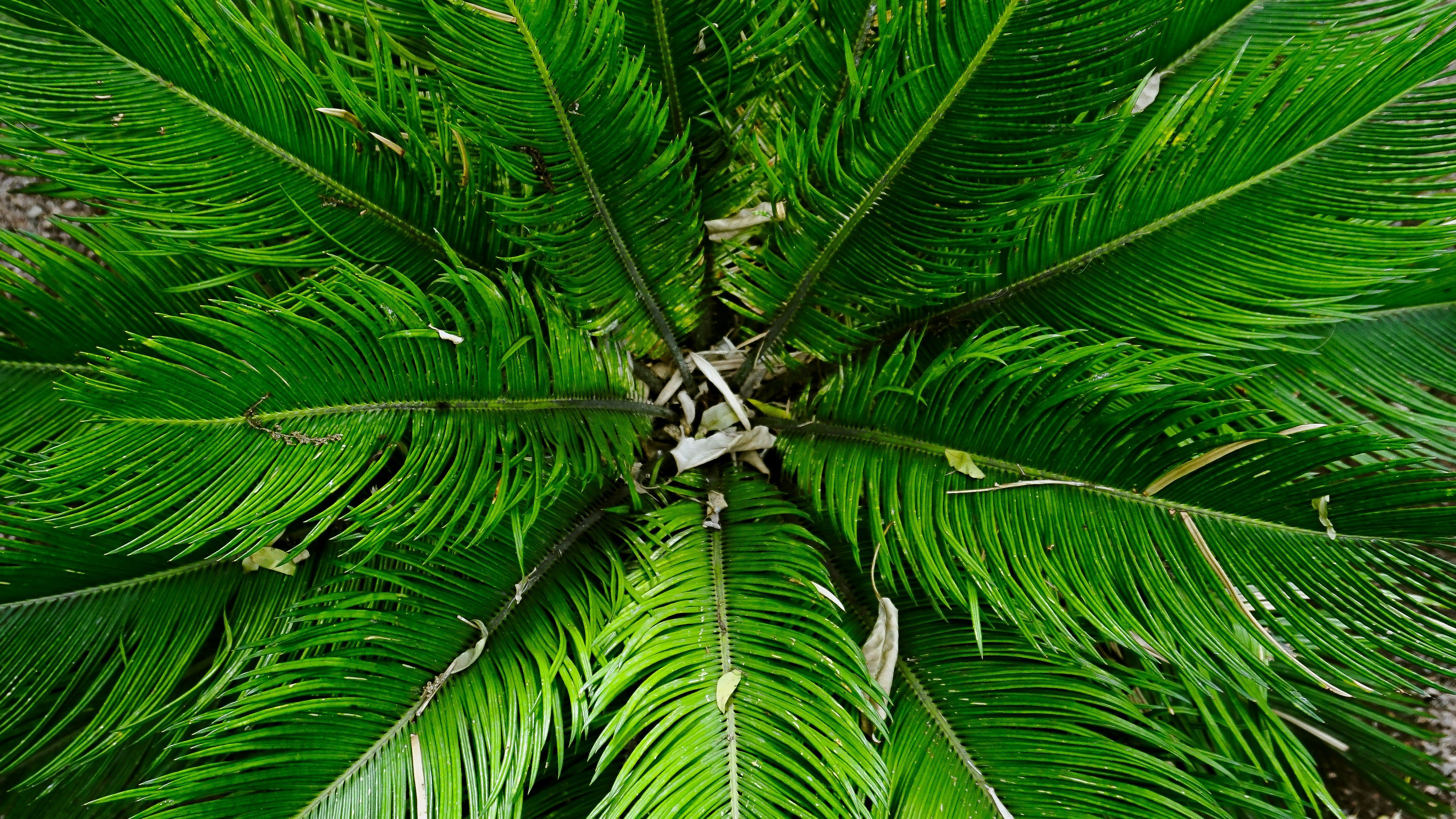 Photo by Max Böhme with Sony Alpha 6000