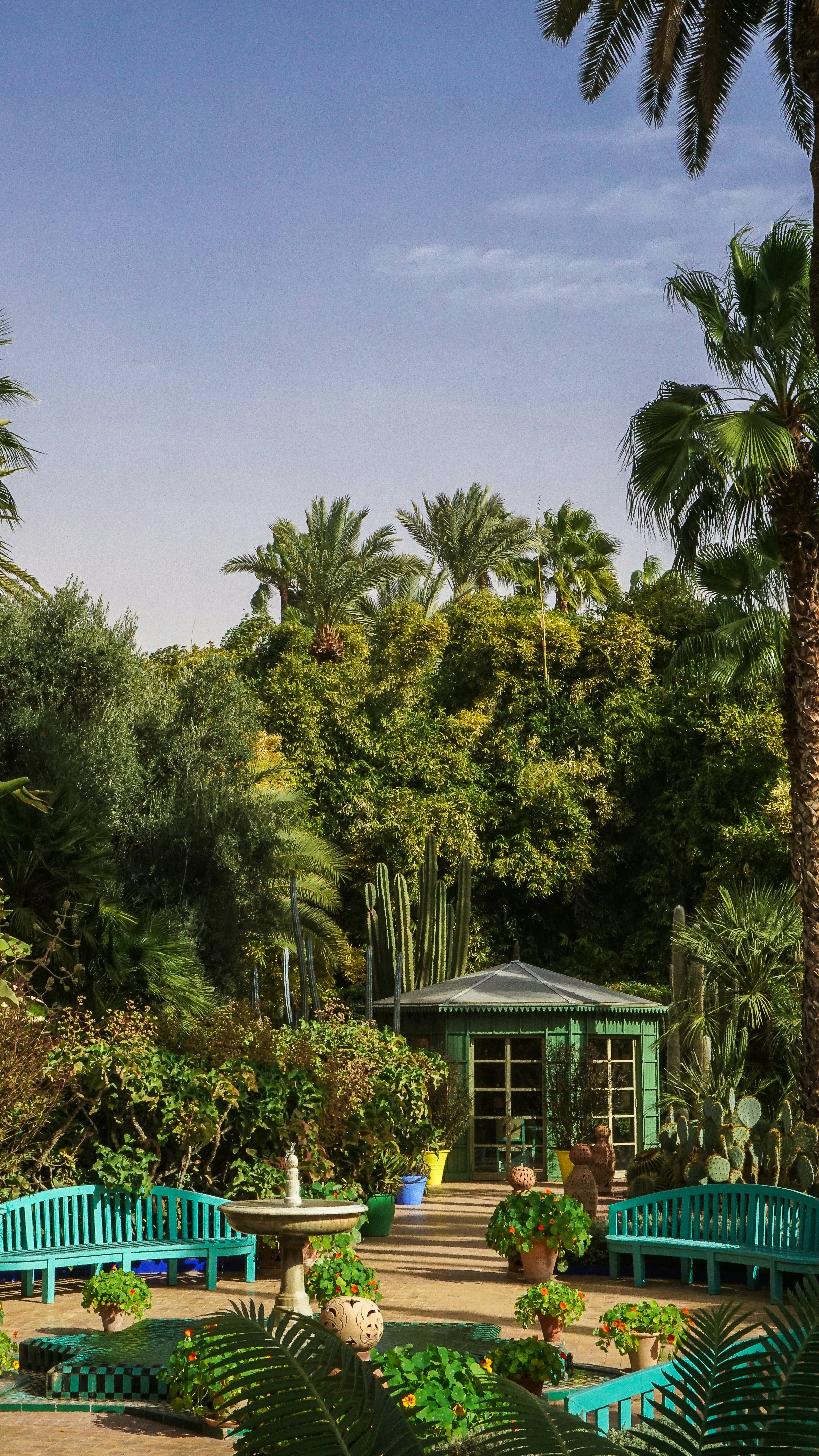 Verdant Oasis: Turquoise Benches Frame a Green Gazebo in a Sunlit Garden