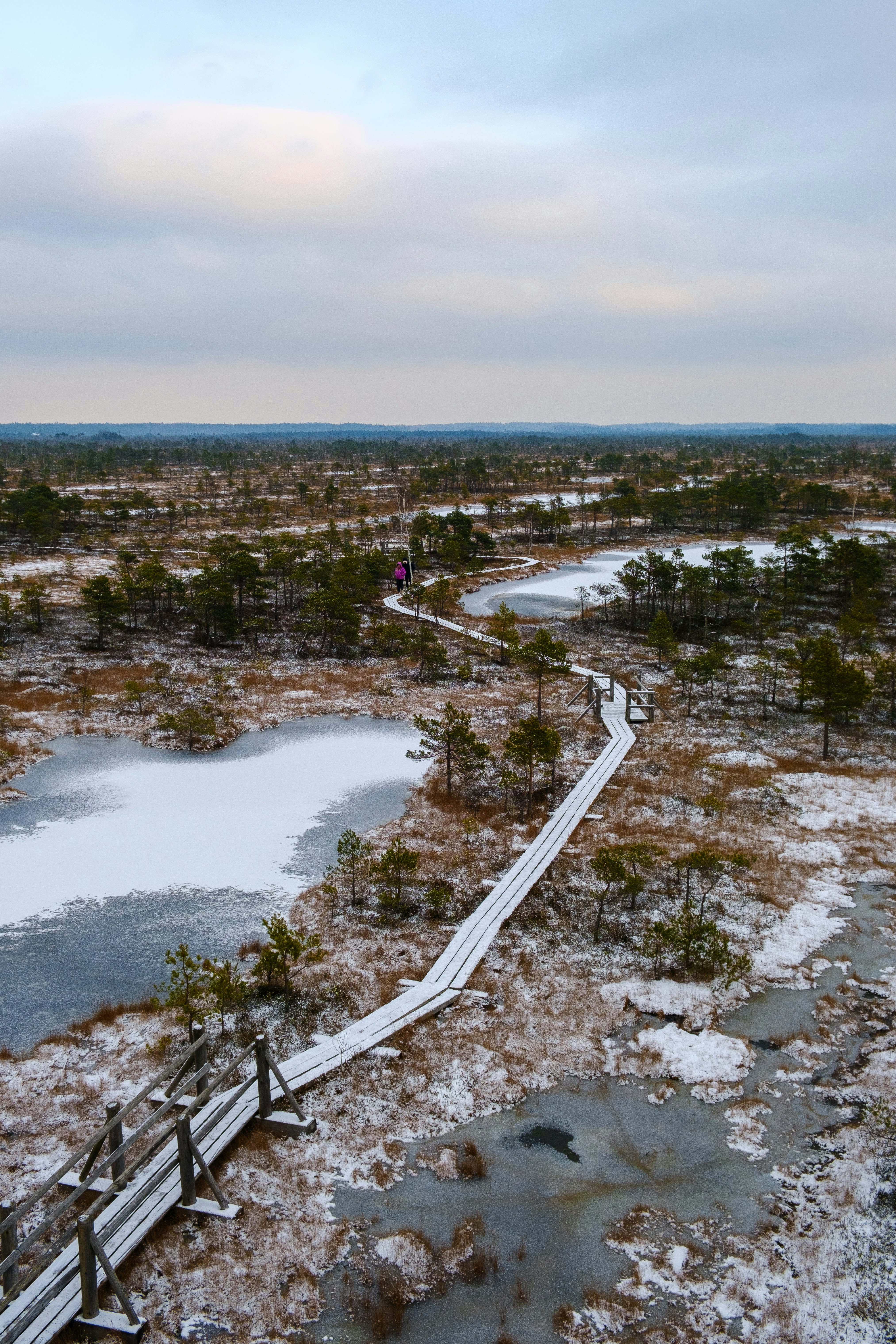 Boardwalk Through a Quiet, Snow-kissed Wetland at Dusk