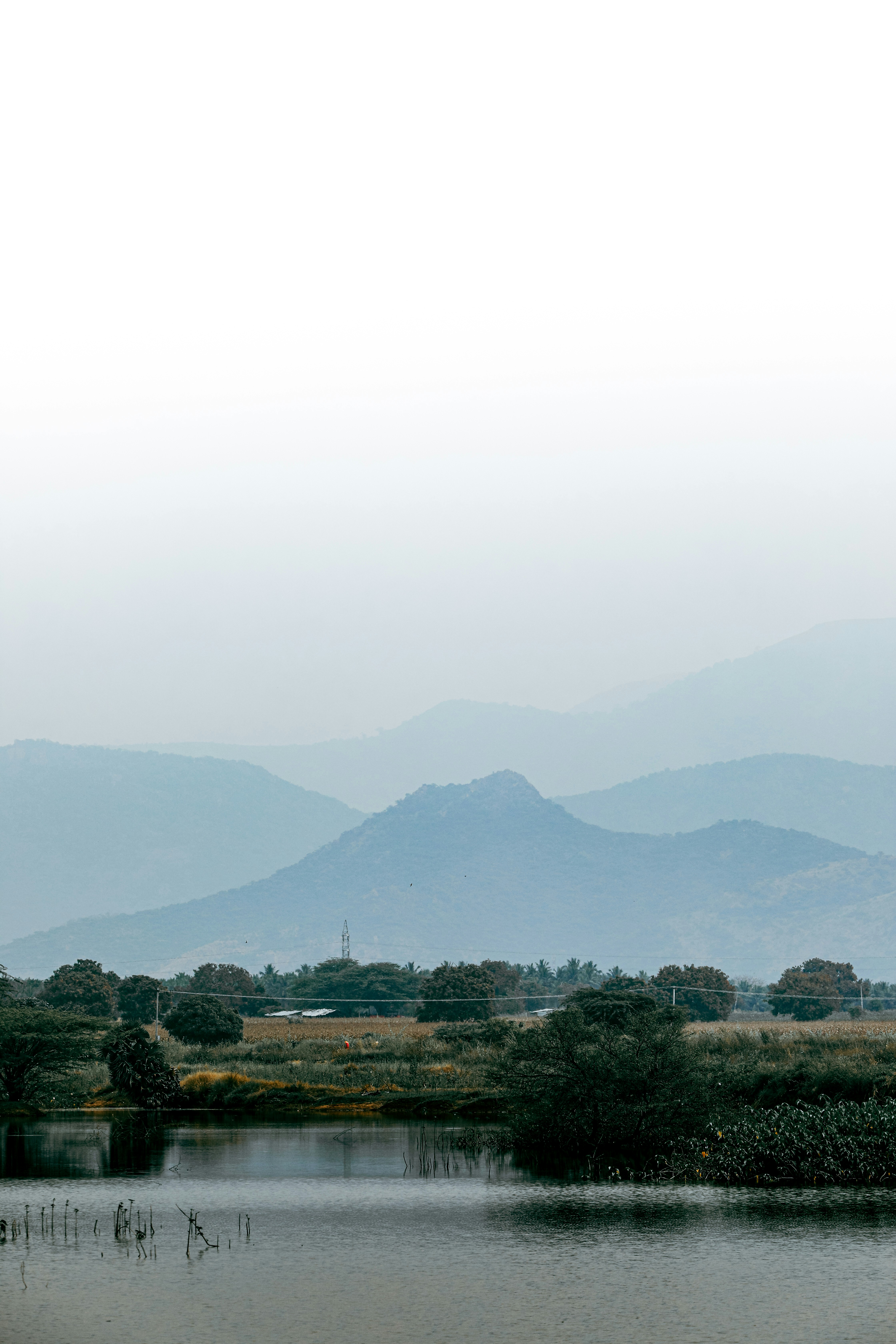 Blue Ridge Quiet: Layered Hills Press Against a Misty Horizon