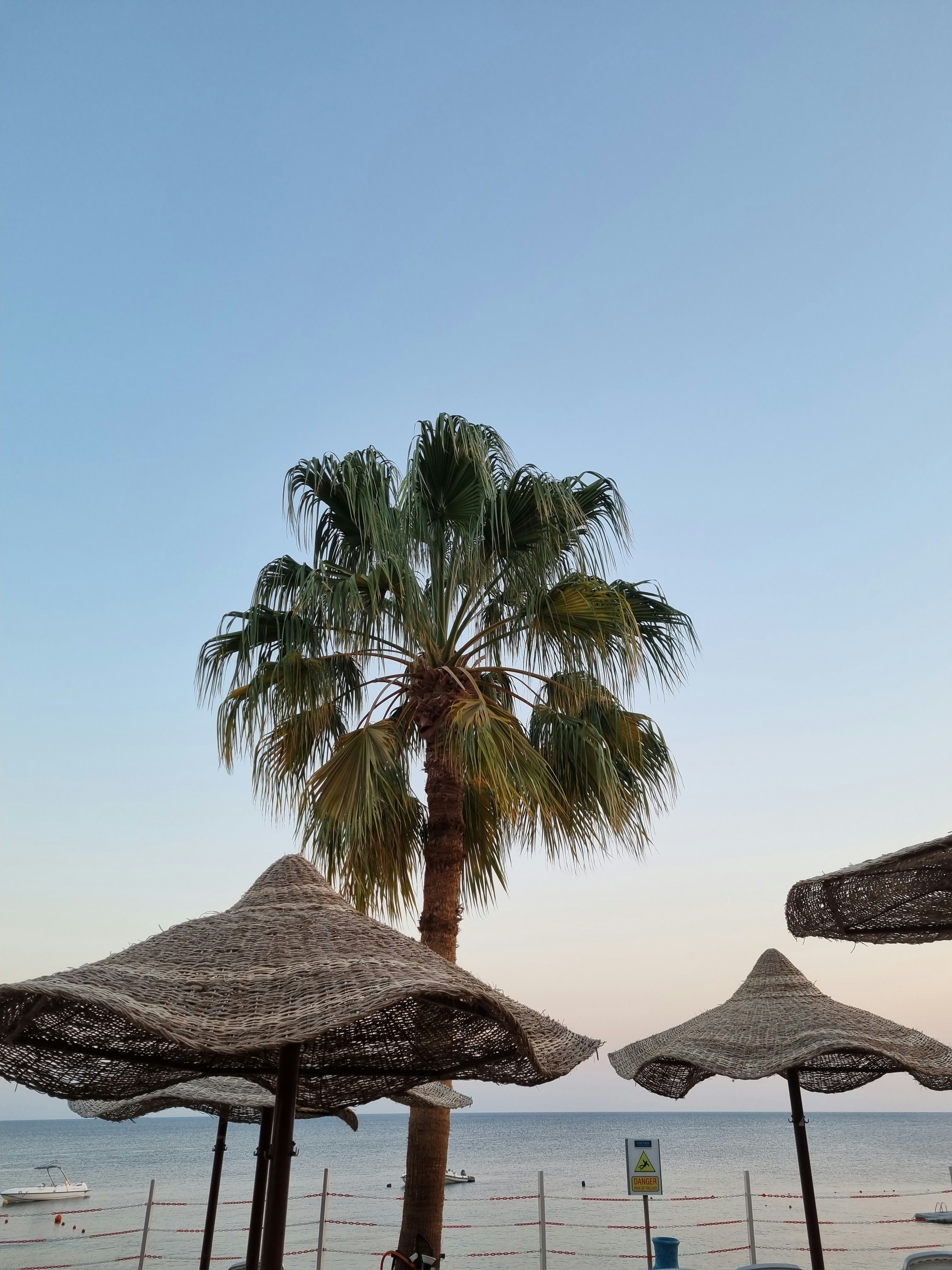 Palm Over Seaside Shade: A Quiet Beach Framed by Woven Umbrellas