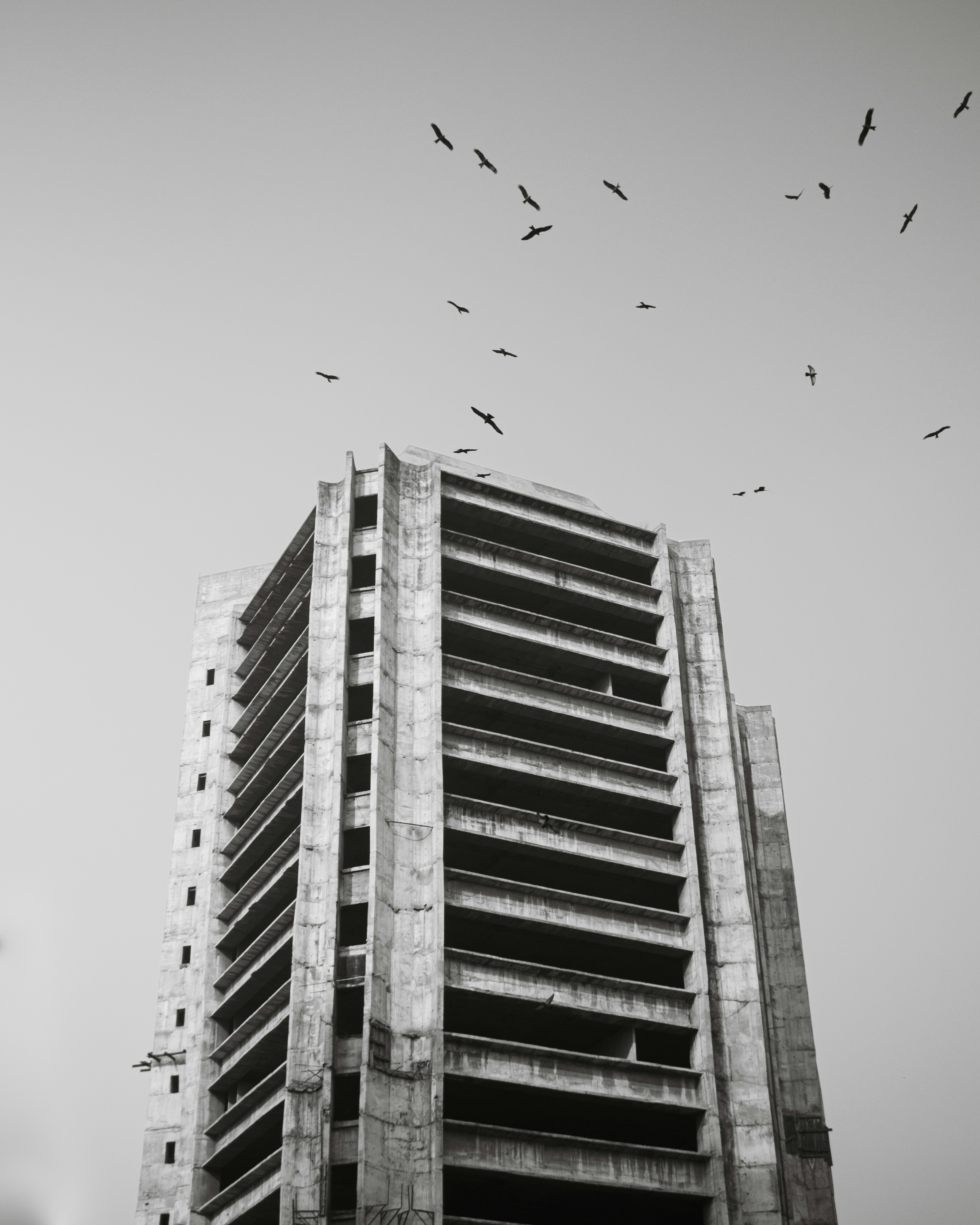 A stark concrete structure looms against a pale sky, with silhouettes of birds soaring above, highlighting the contrast between nature and urban architecture.