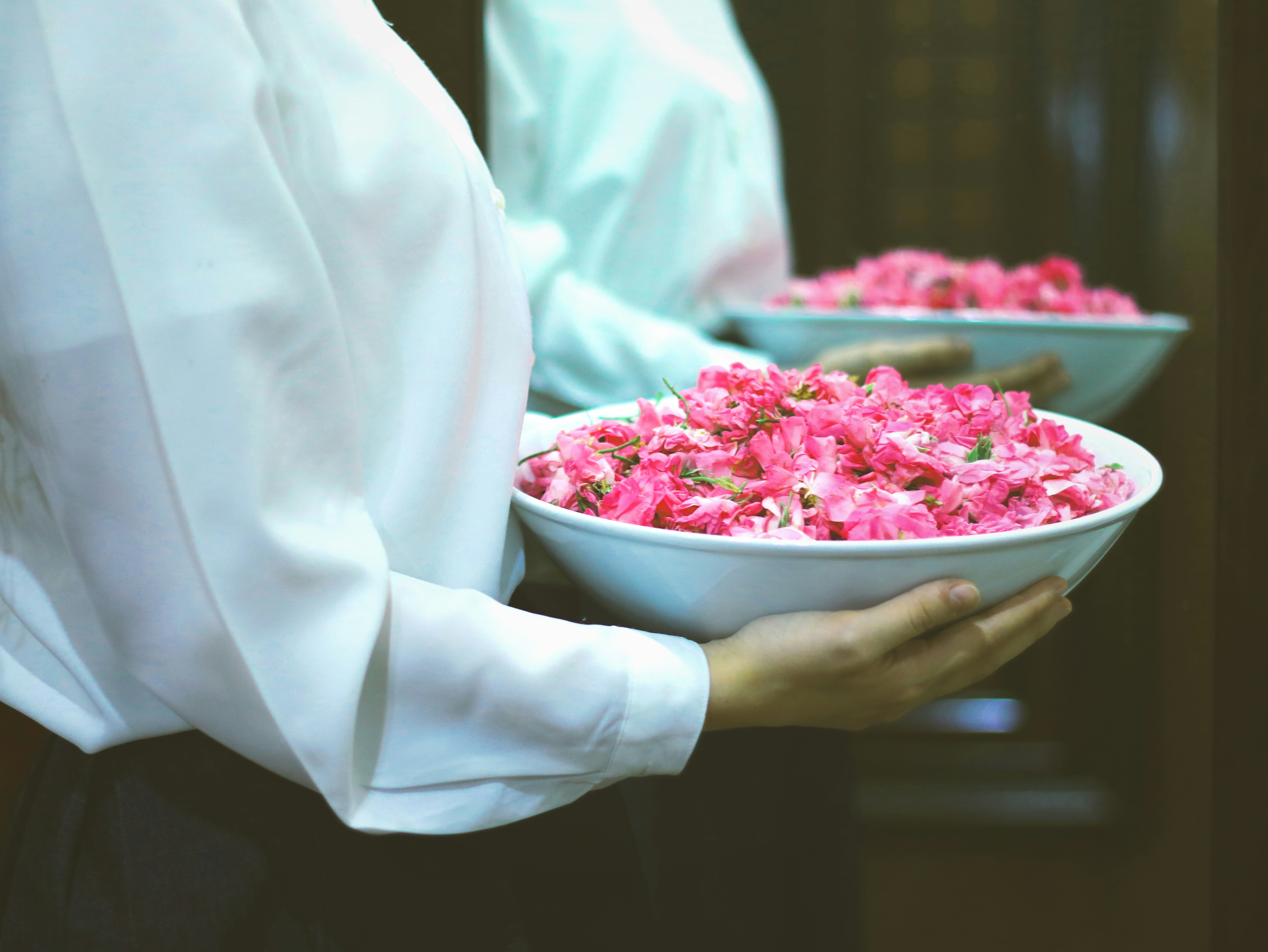#flowers #growing_with_us #iranian_capacity #only_for_u