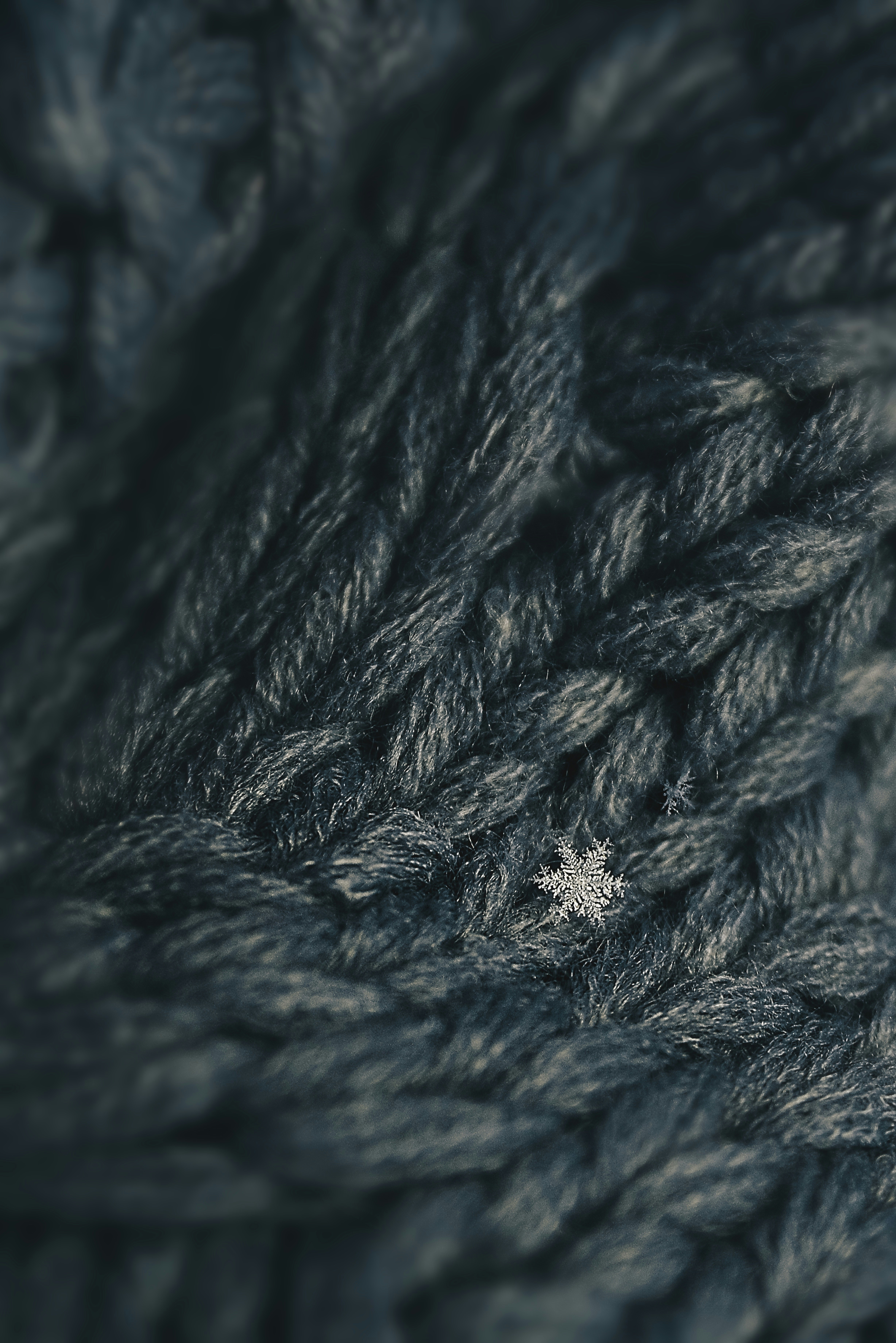 A close up of a gray yarn texture photo – Free Cat Image on Unsplash