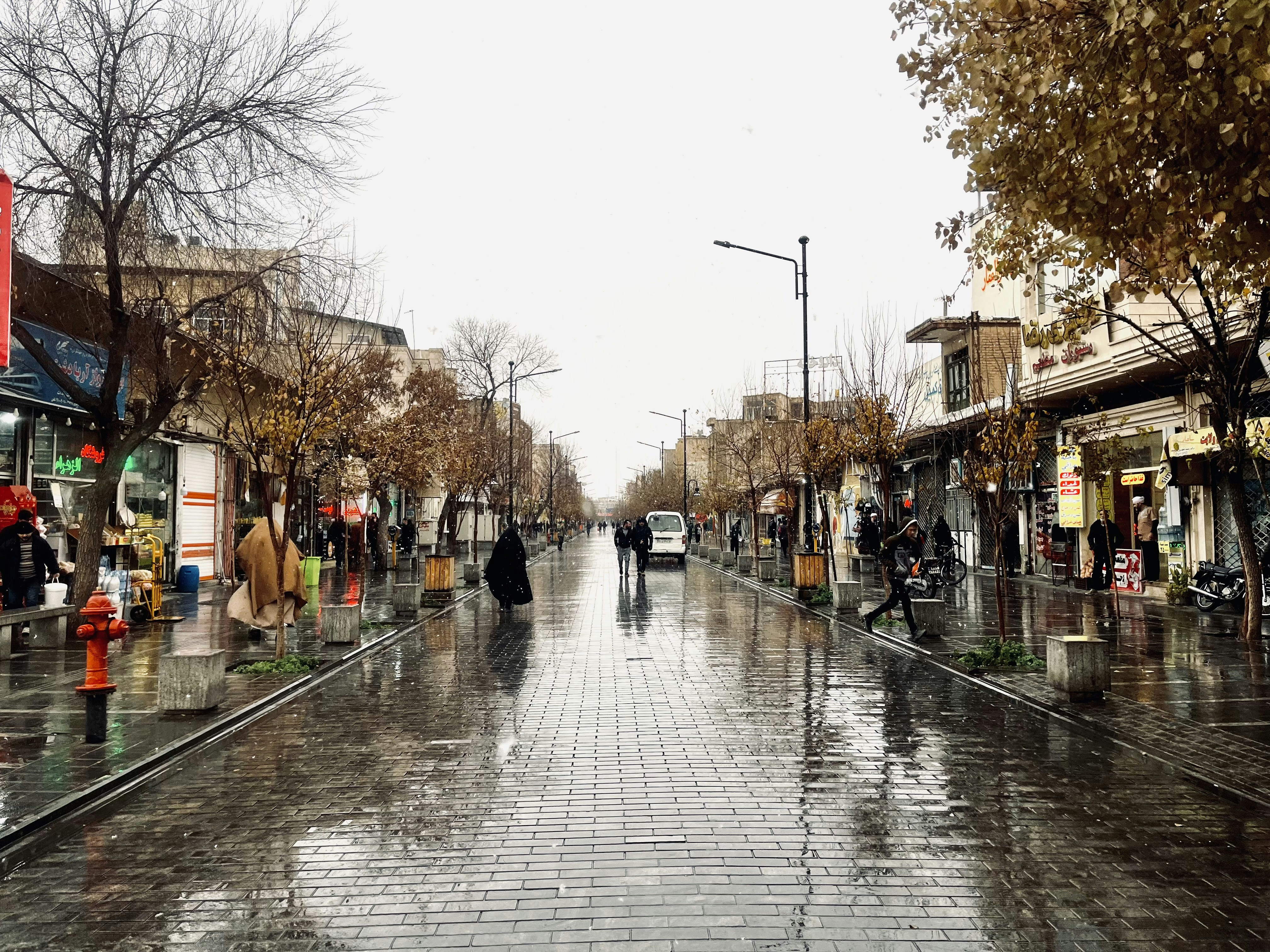 Rain-Washed Avenue: Reflections Toward a Distant Vanishing Point