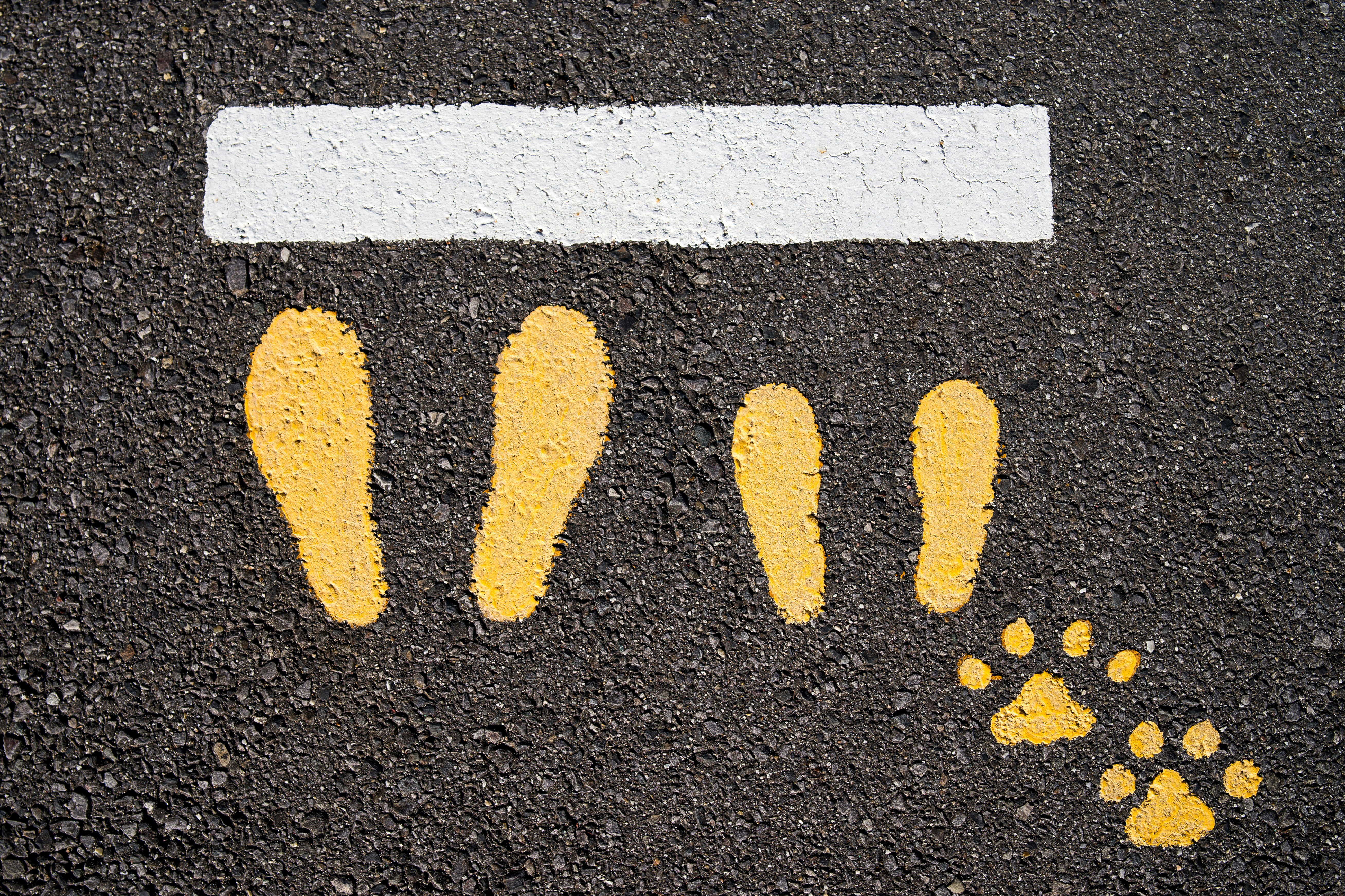 Parking Lot Footprints: A Fresh Mark on Asphalt