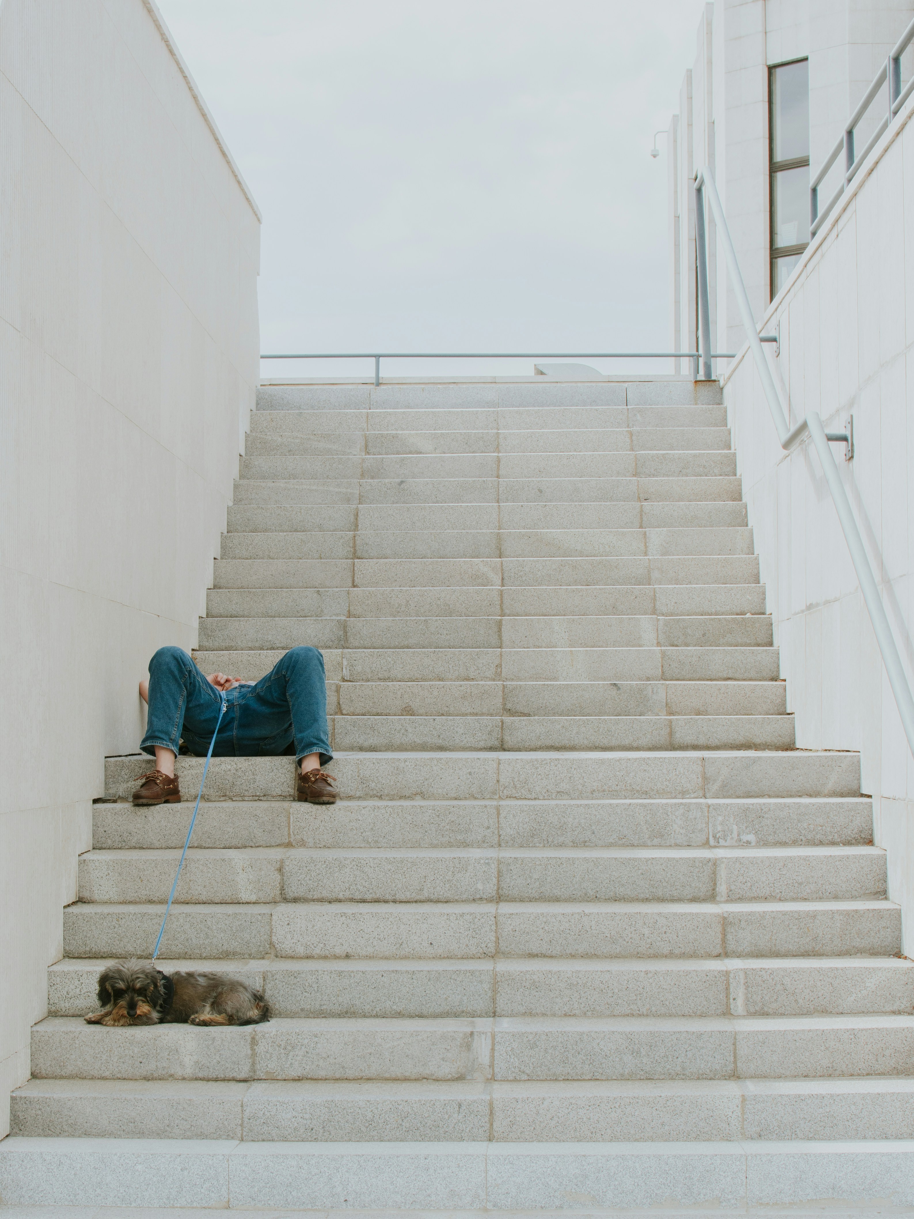 A person laying on the steps with a dog on a leash photo – Free ...