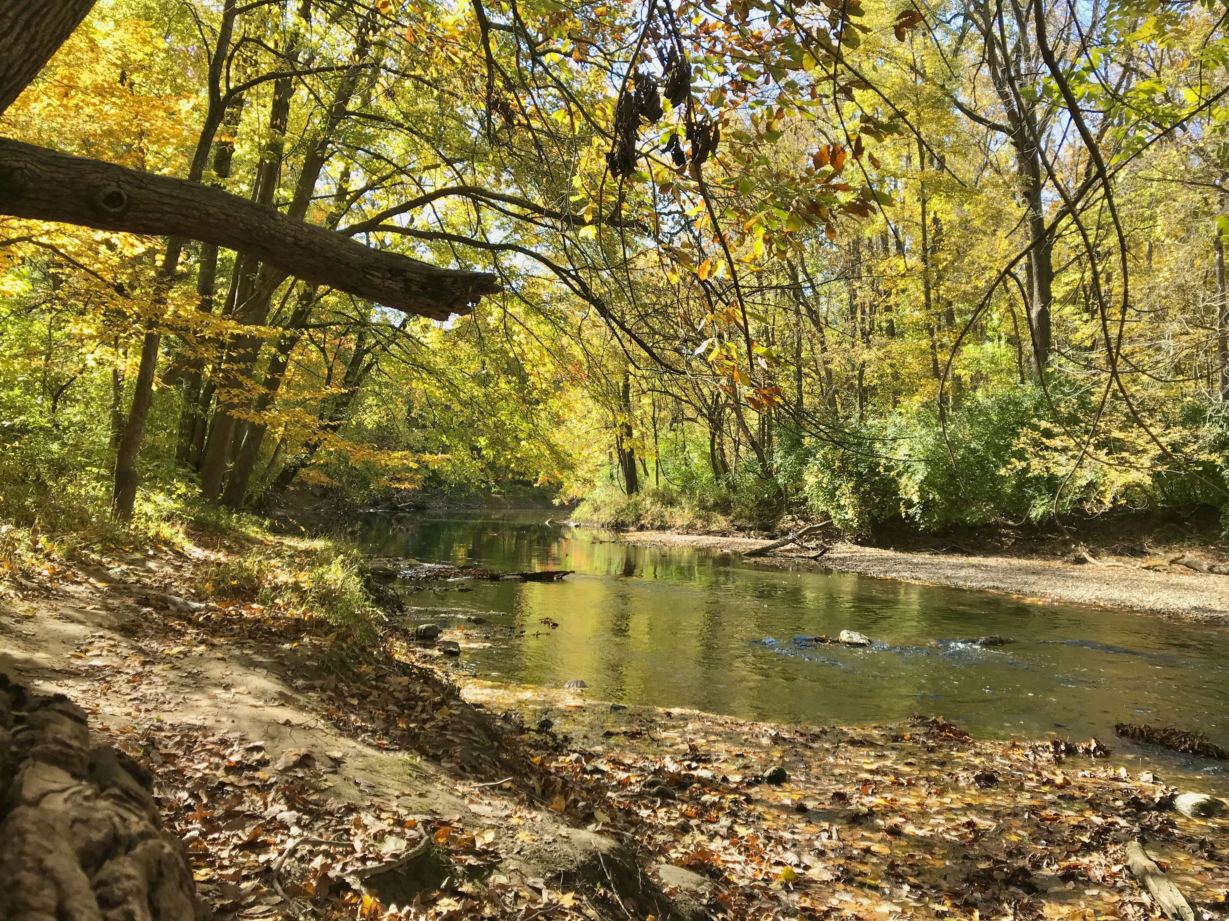 Photo by Sayaka Ganz with Apple iPhone 7