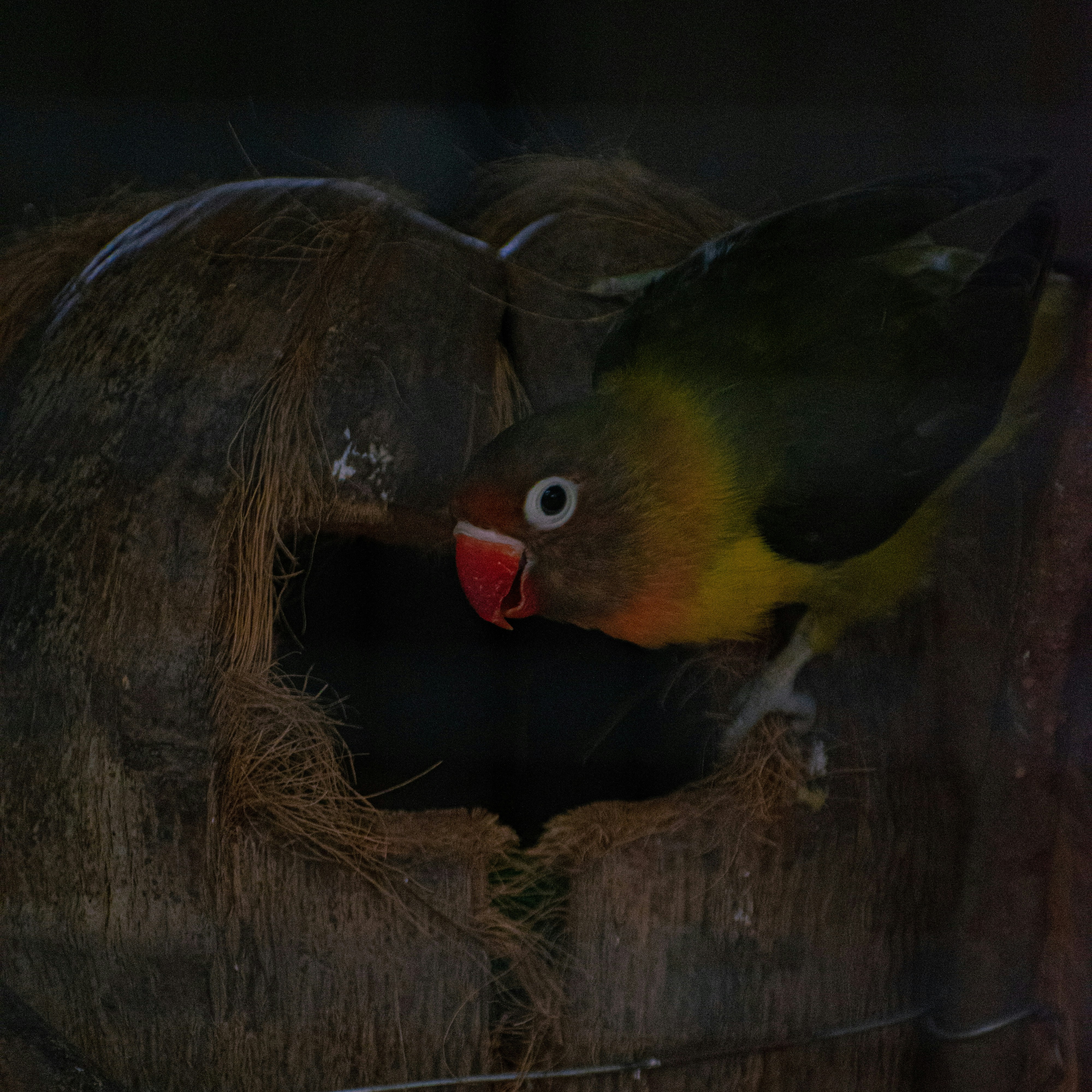 Photo by Bhanuka Dilshan with Nikon D5600