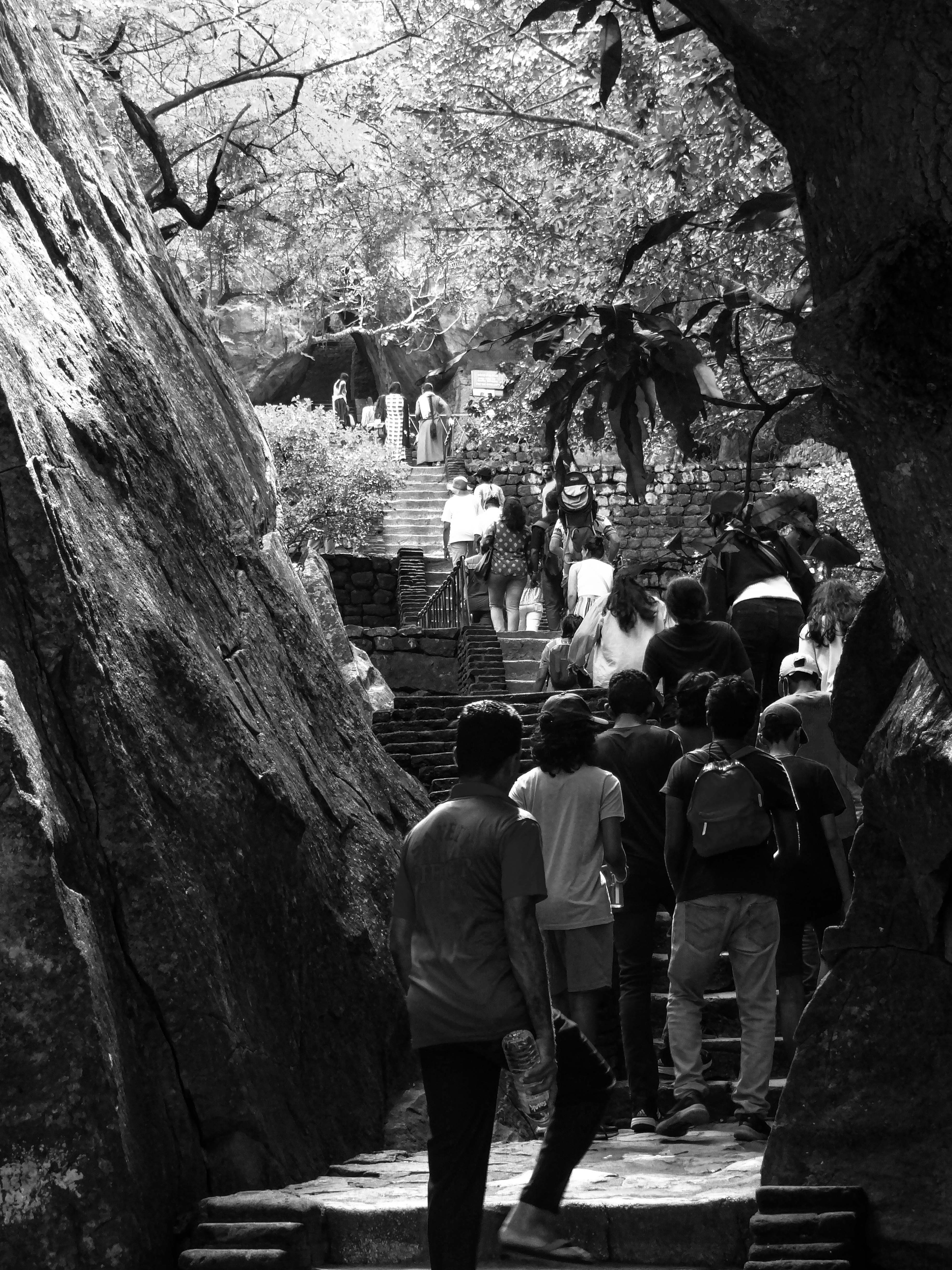 A group of people walking up some steps photo – Free Black Image on ...