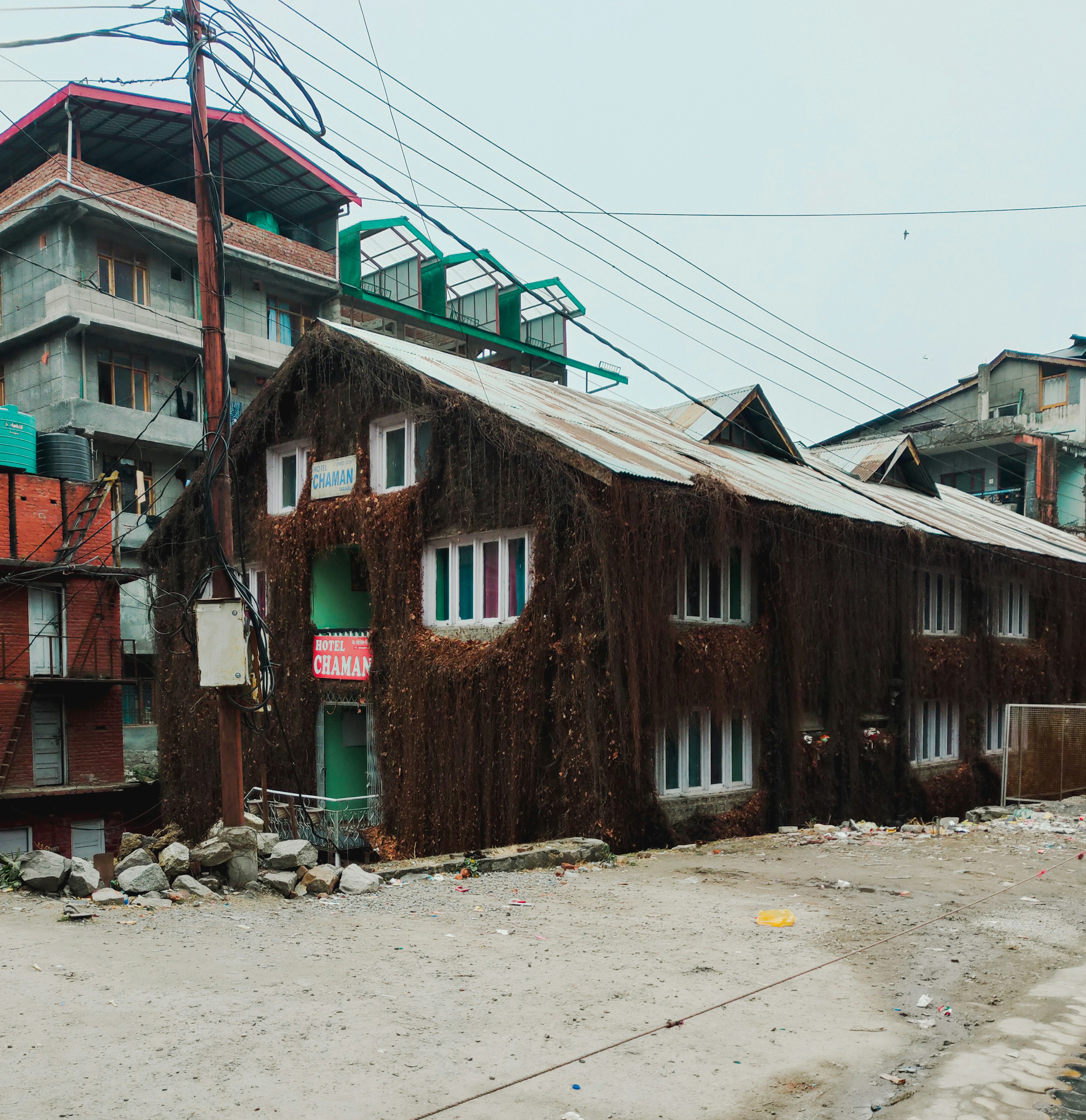 Ivy-Clad Corner House Braving a Utility-Laced Street