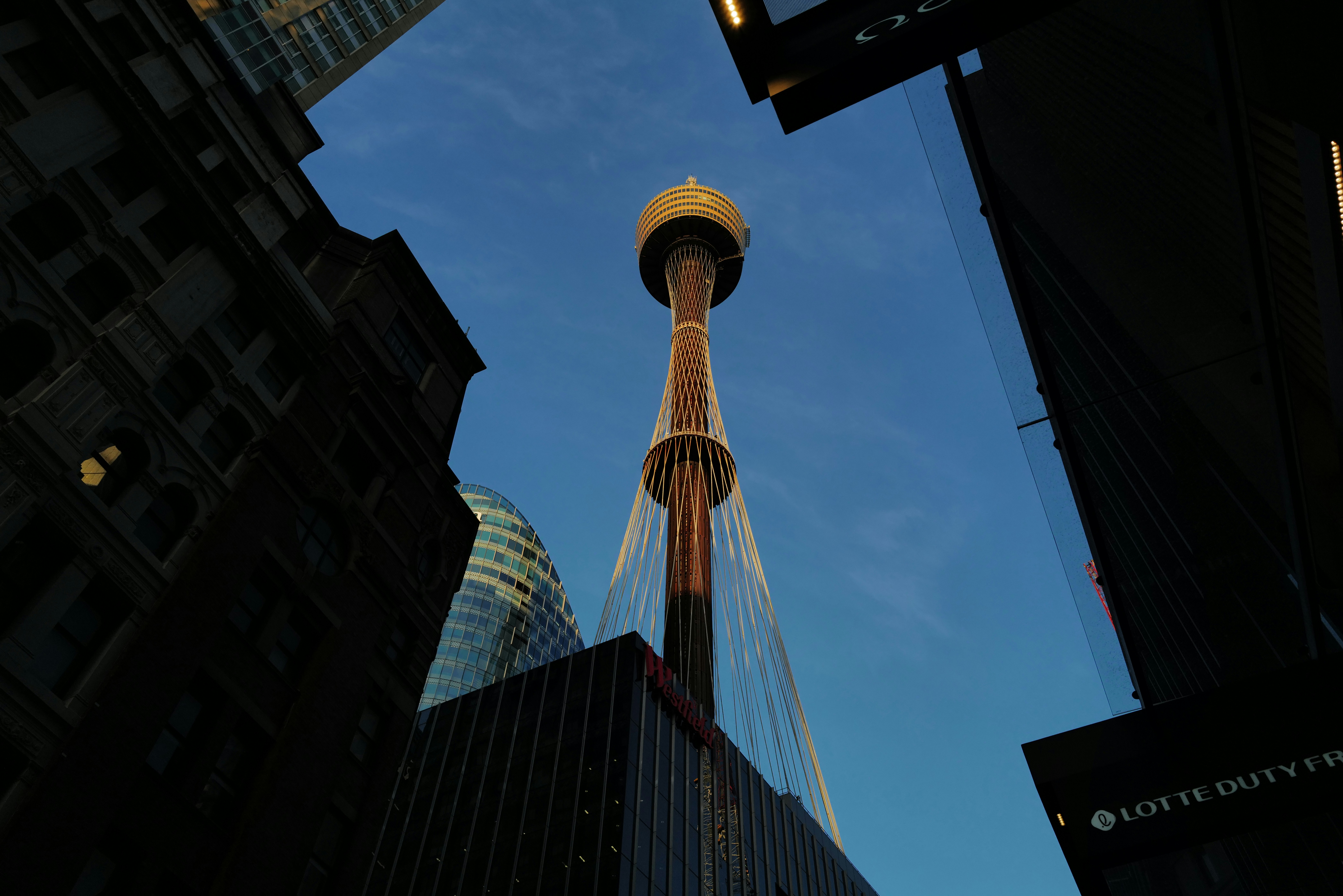 Catenary Crown: Tower Piercing a Narrow City Canyon