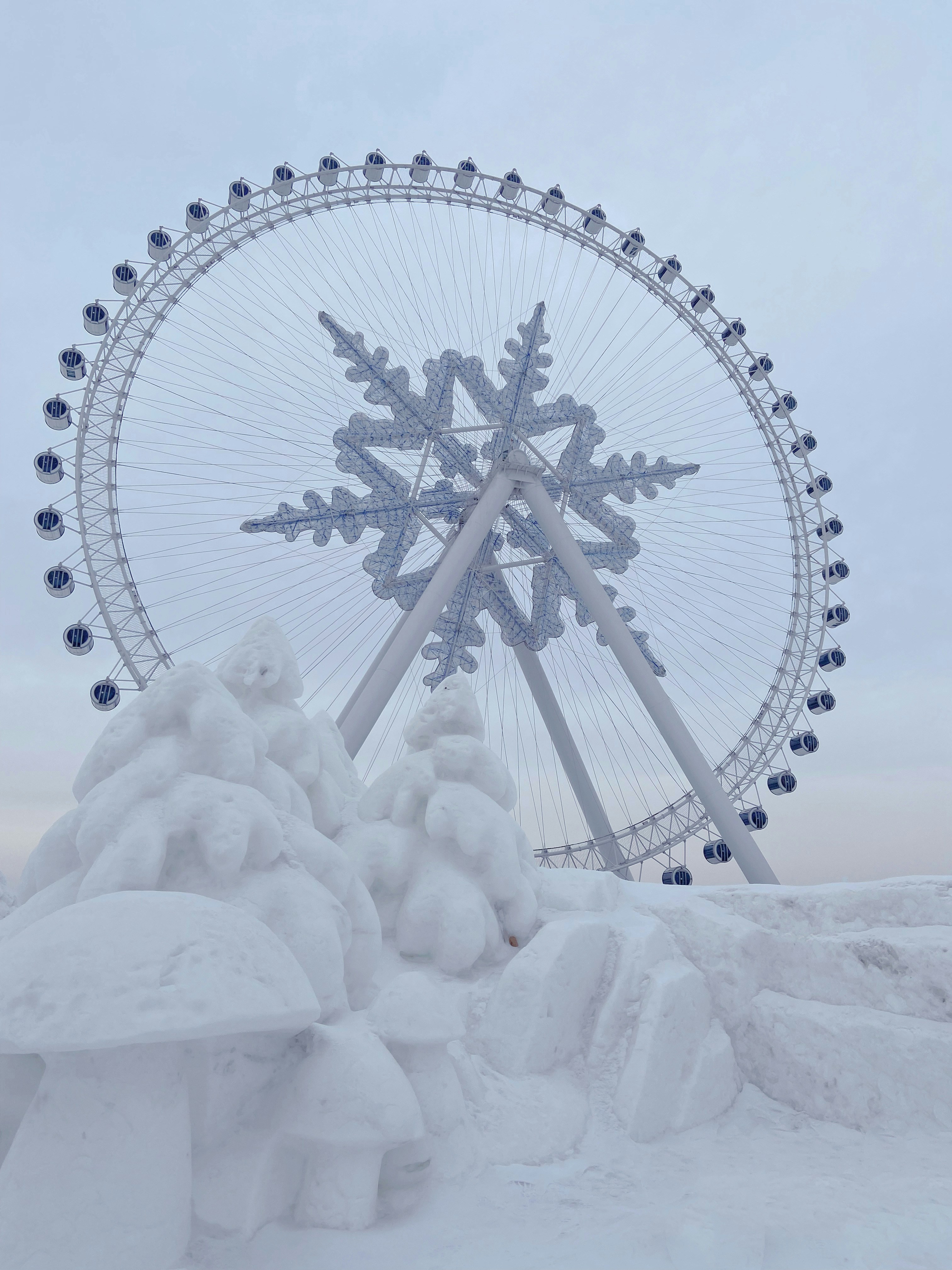 A large ferris wheel in the middle of a snowy field photo – Free ...