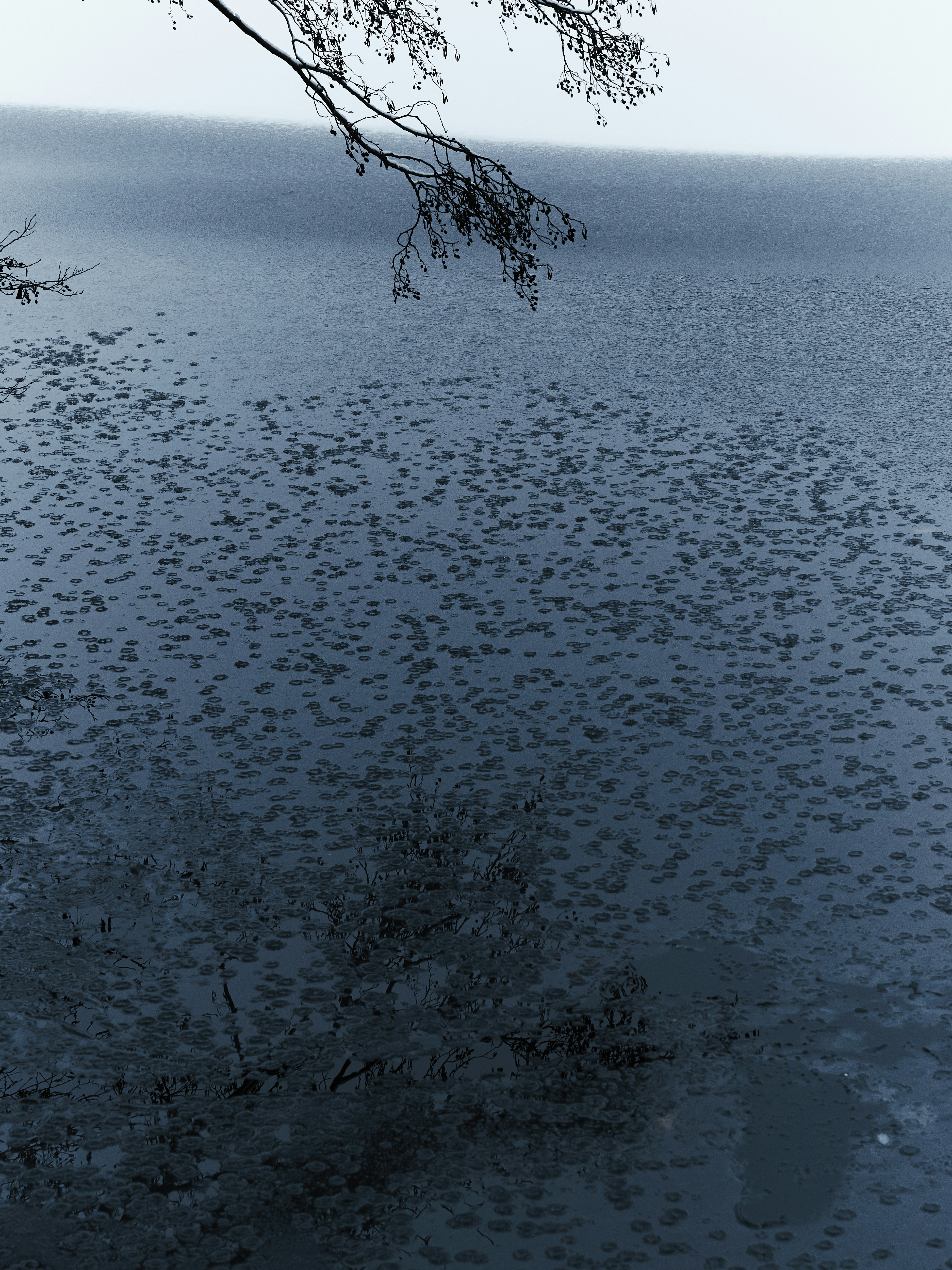 A tranquil scene of a frozen lake, with delicate patterns of ice and a faint reflection of trees above. The monochromatic tones create a serene atmosphere.