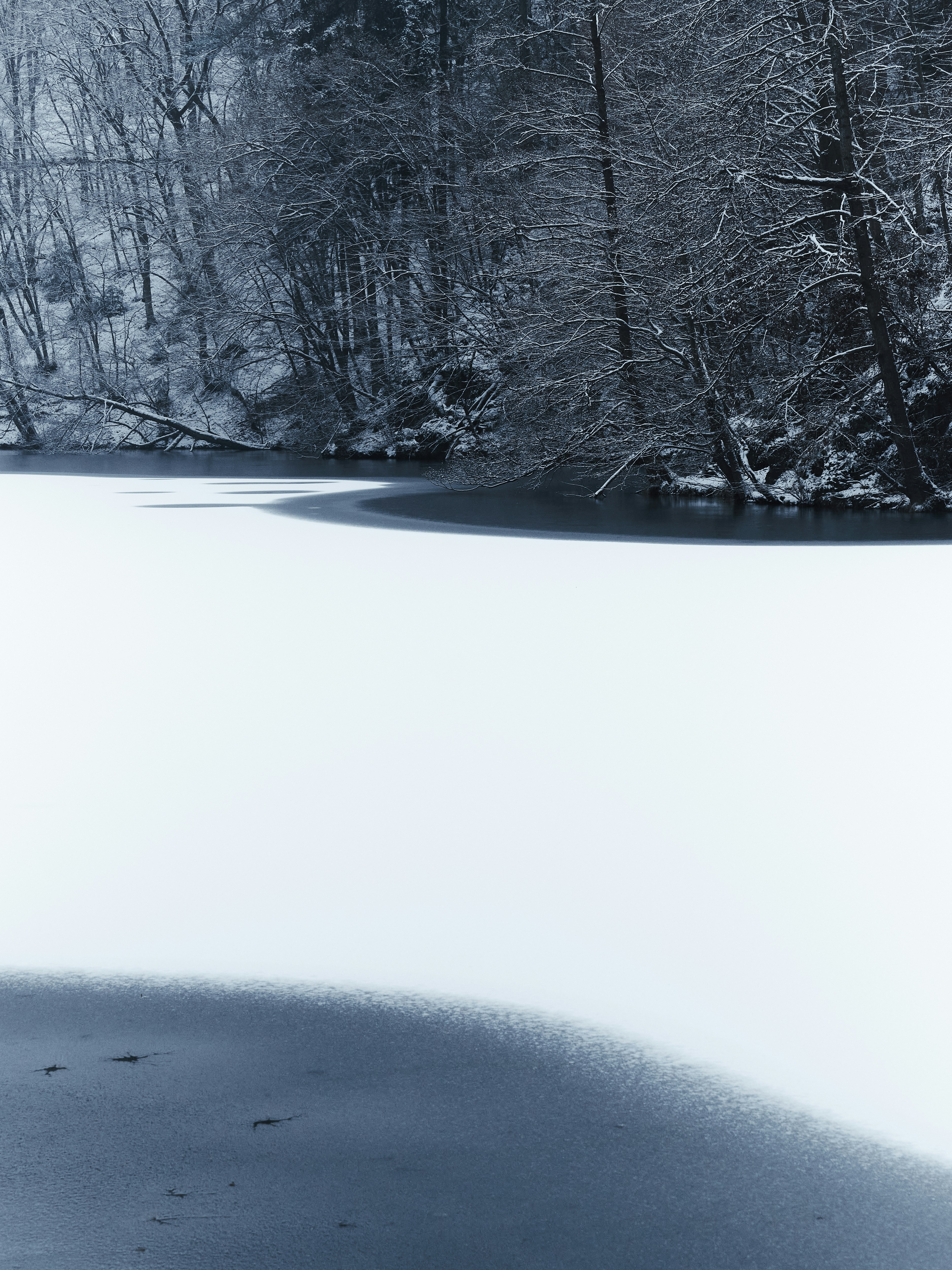 Crescent Shadow Tracing a Frozen Shore