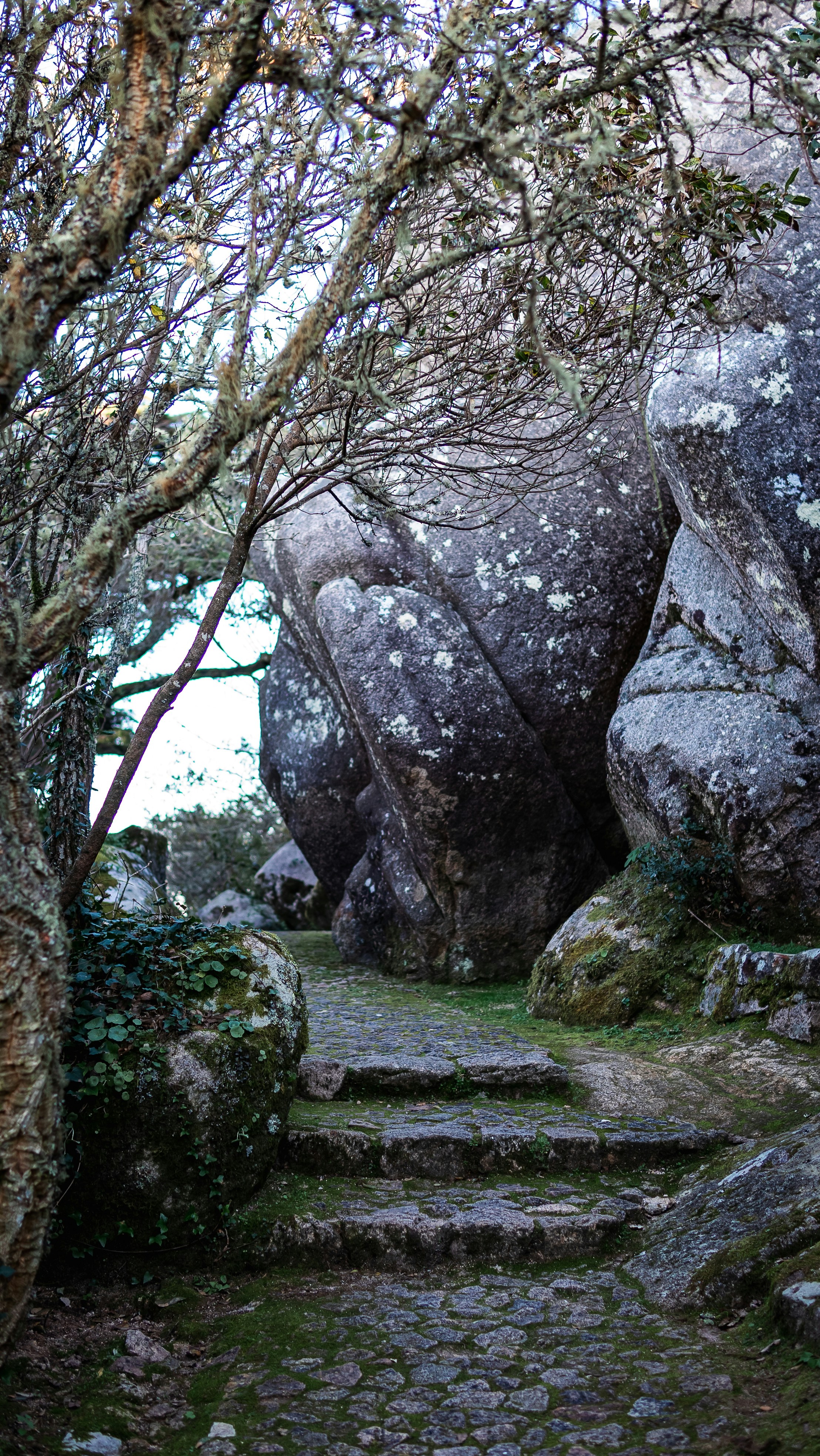 Photo by Eduardo Drapier with Sony Alpha 7 II