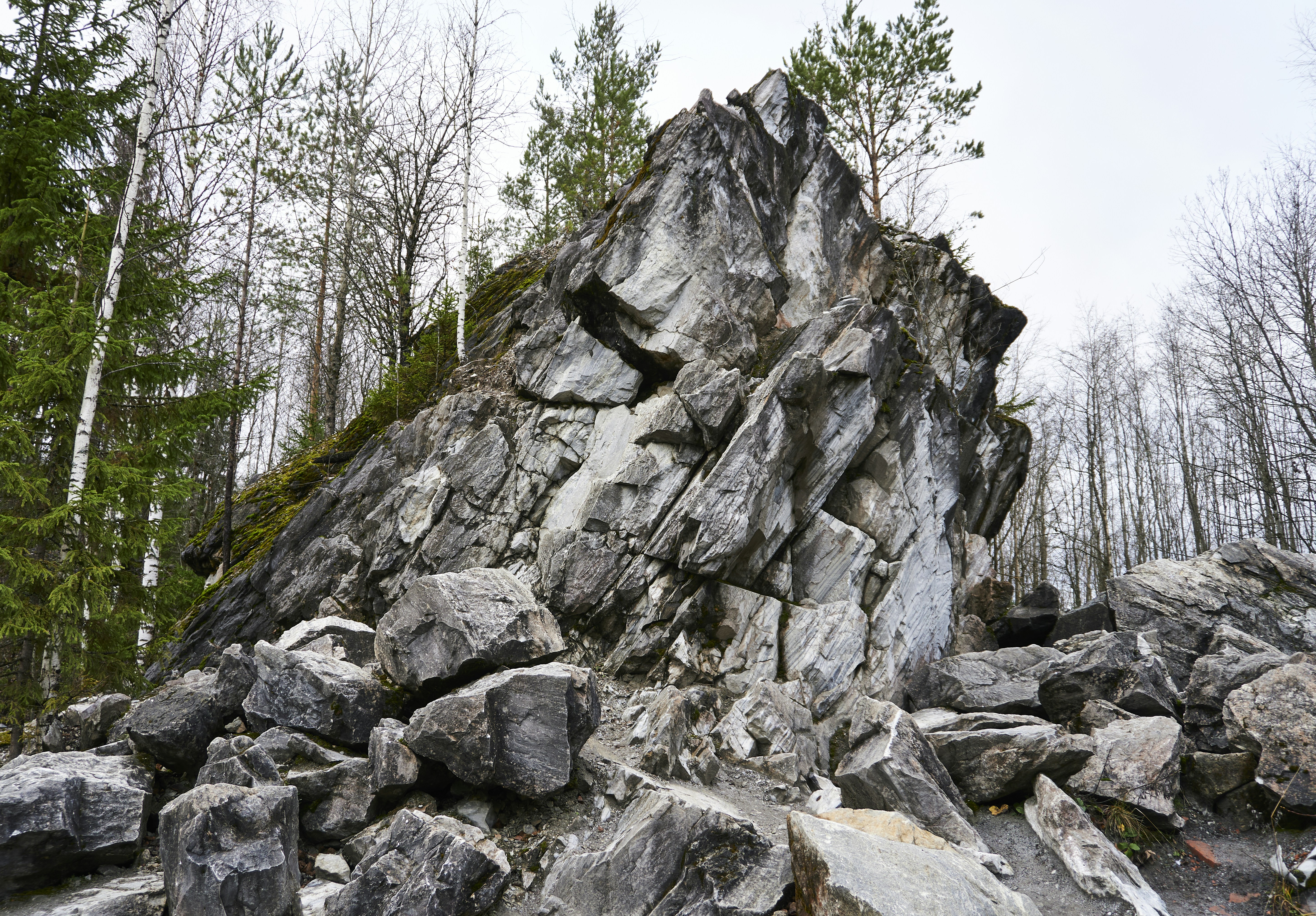 Forest Rock Formations