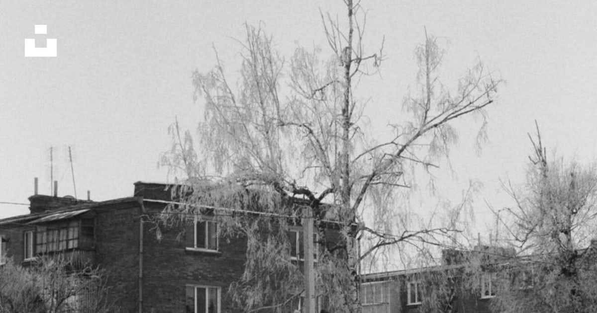 Une Photo En Noir Et Blanc Dune Personne Tenant Une Planche à Neige