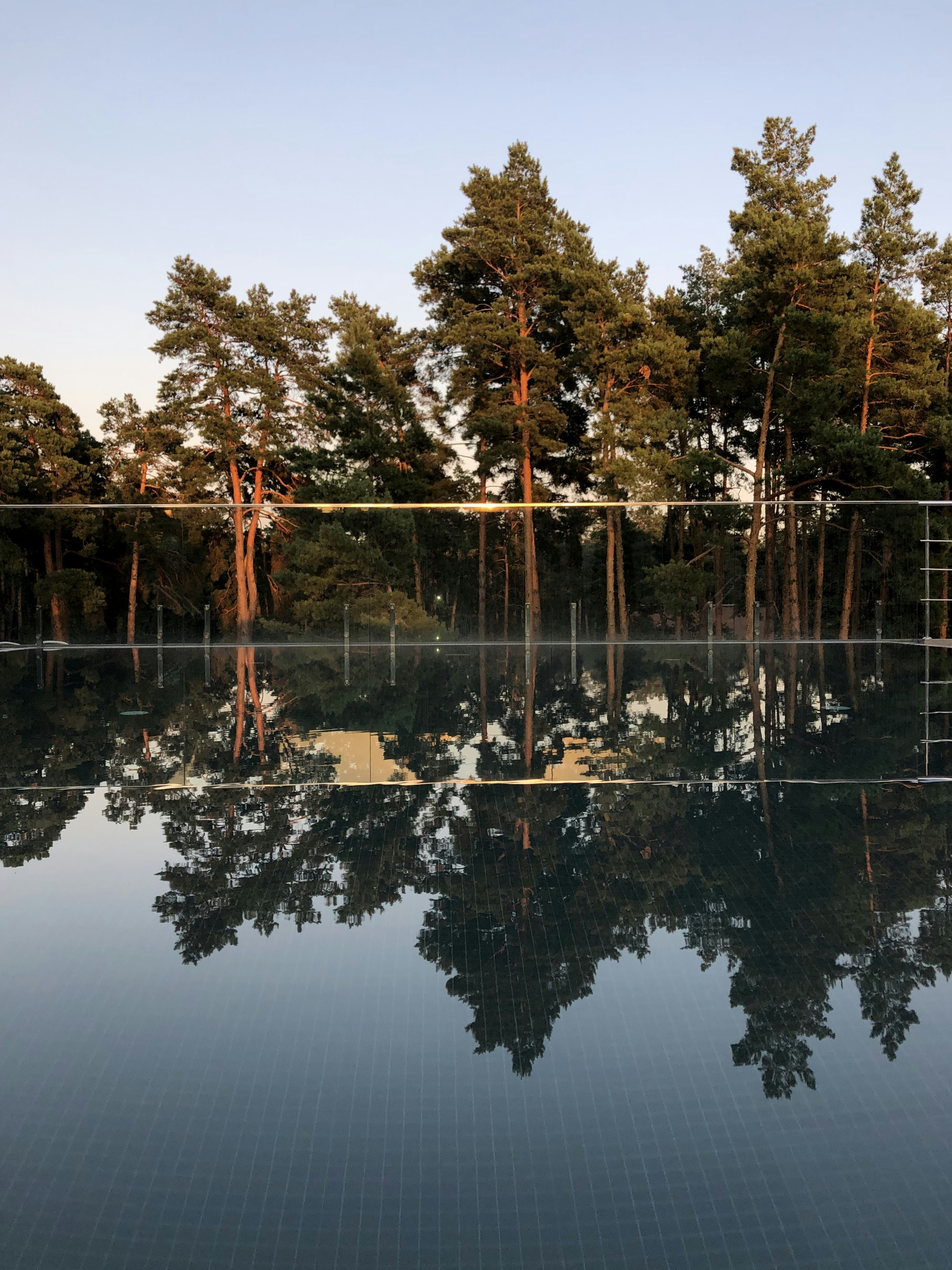 Pine Reflections on a Glassy Terrace Pool at Dusk