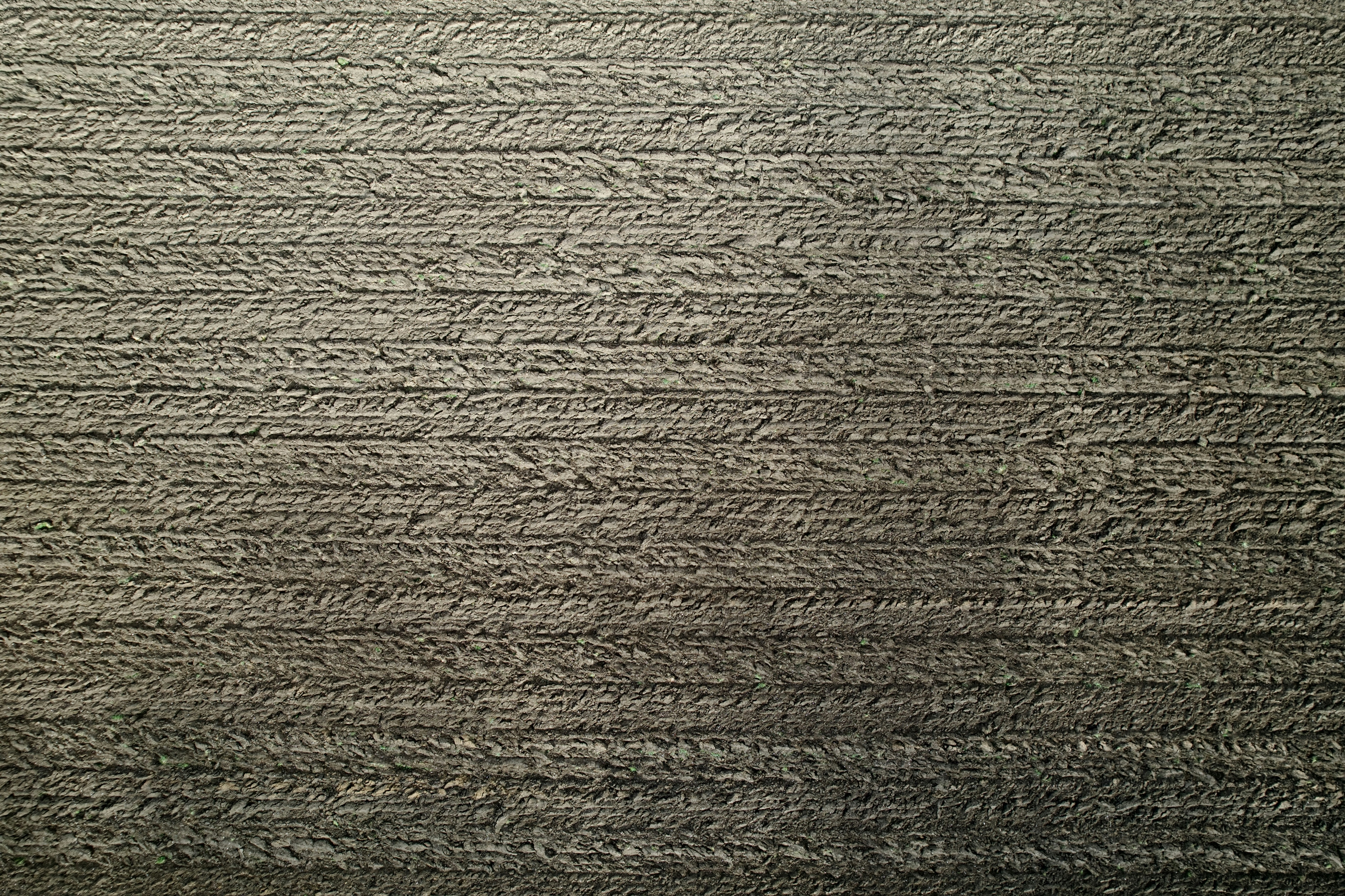 Mud Texture Pictures | Download Free Images on Unsplash