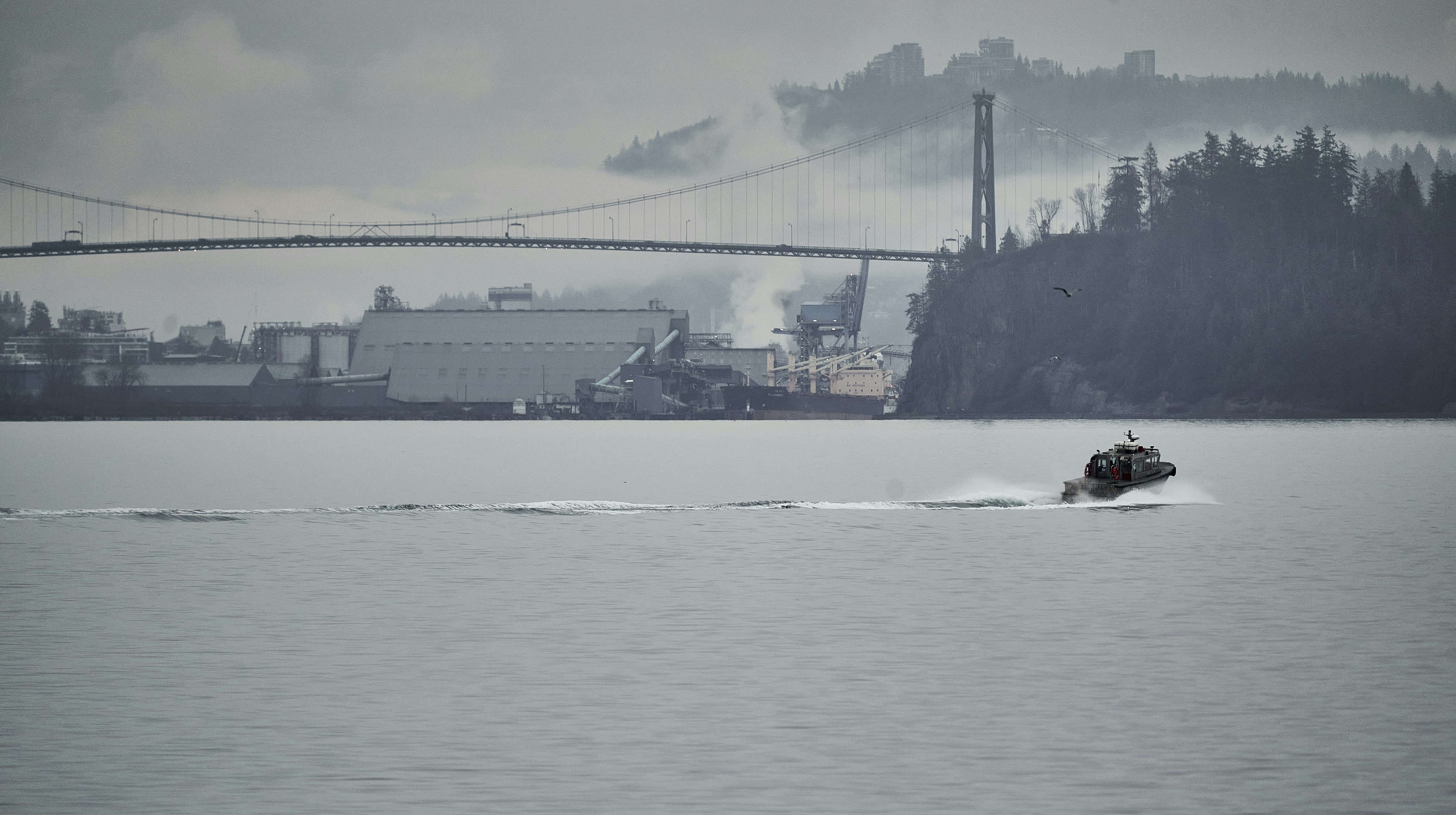 Boat Slice: A lone speedboat skims a calm harbor toward industrial shores