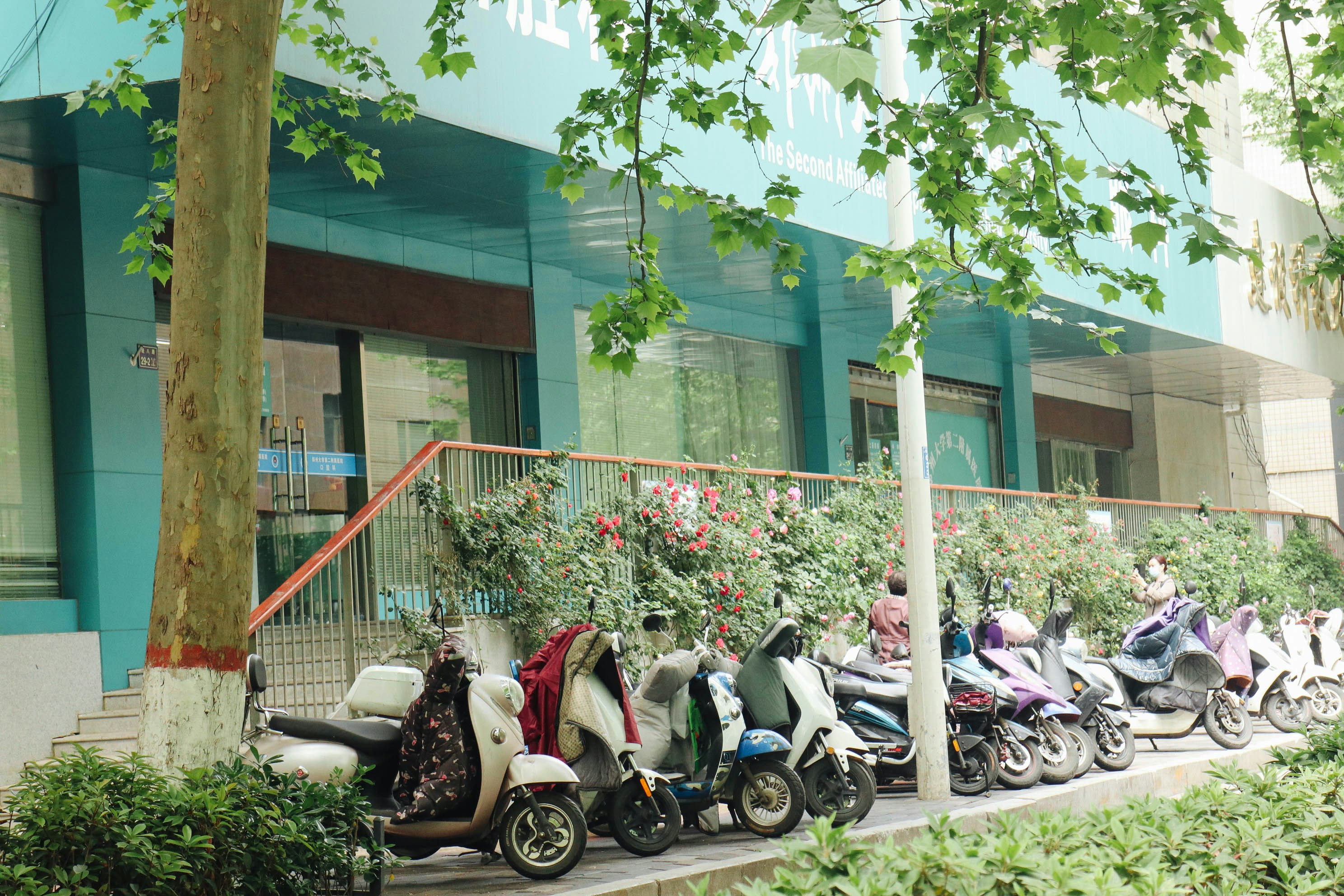 Foto Una fila de scooters estacionados frente a un edificio – Imagen ...