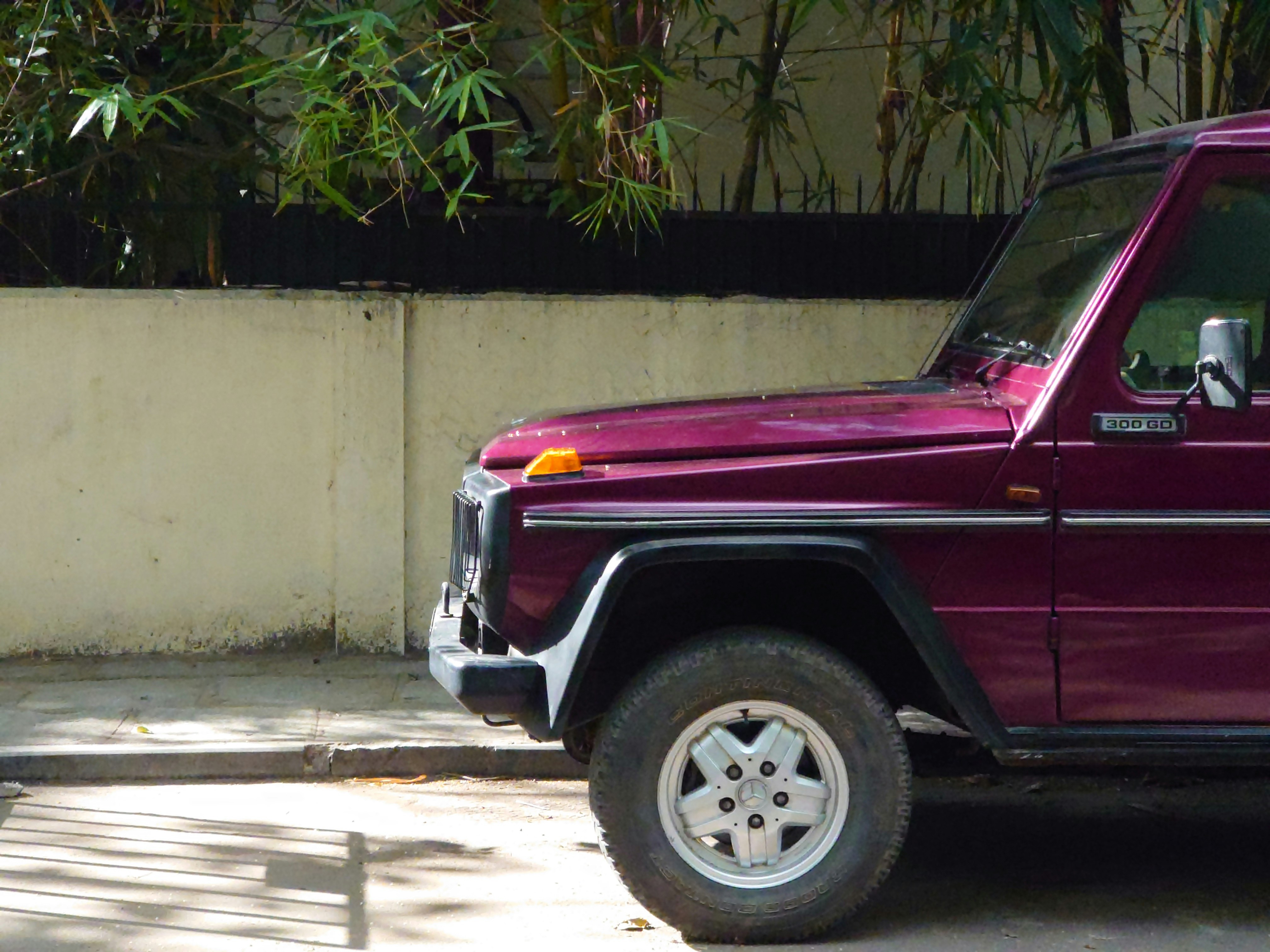 A purple SUV parked along a sunlit street, framed by lush green bamboo and a muted wall, highlighting a blend of nature and urban life.