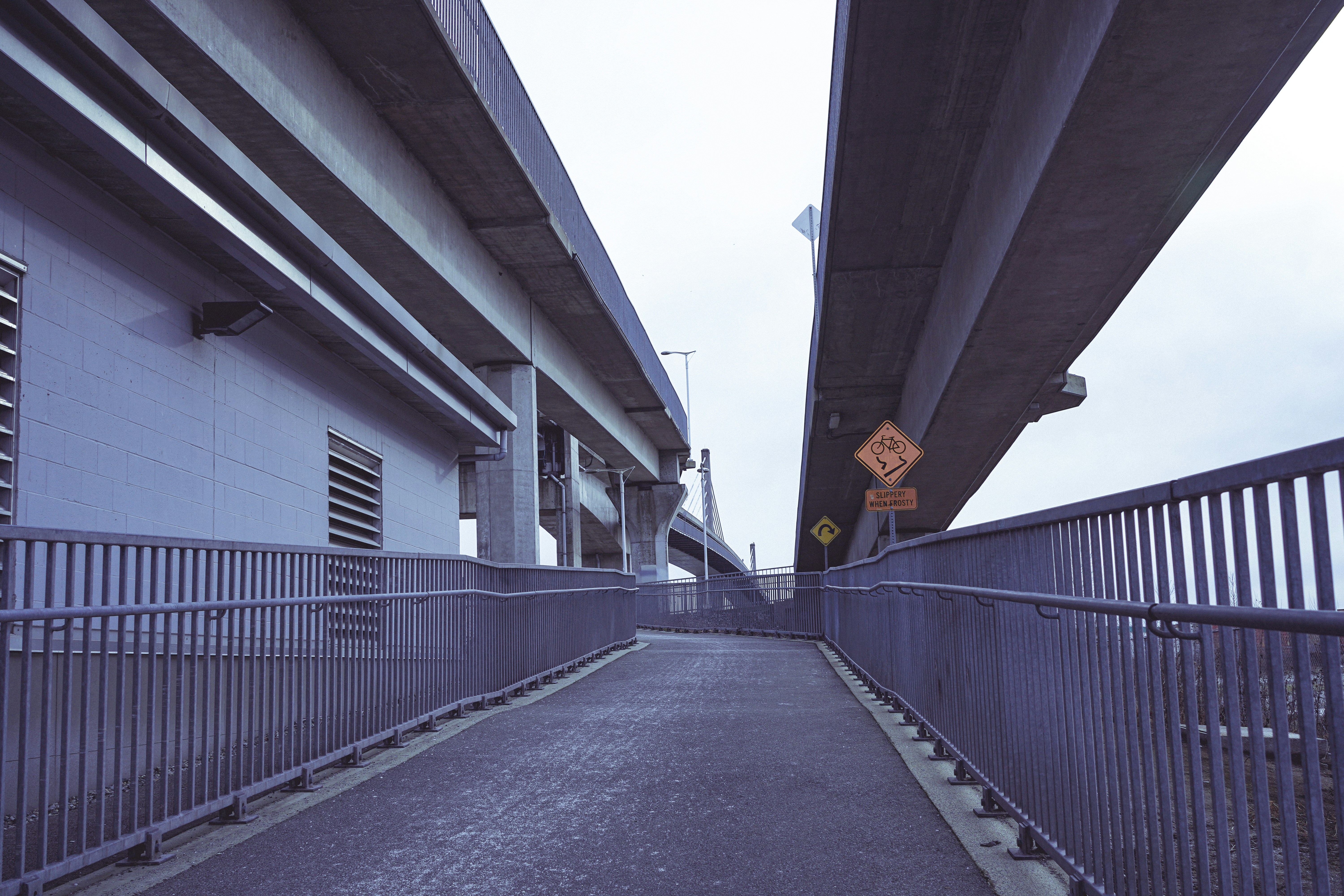 Convergence Beneath the Arches: A Quiet Corridor of Steel and Blue