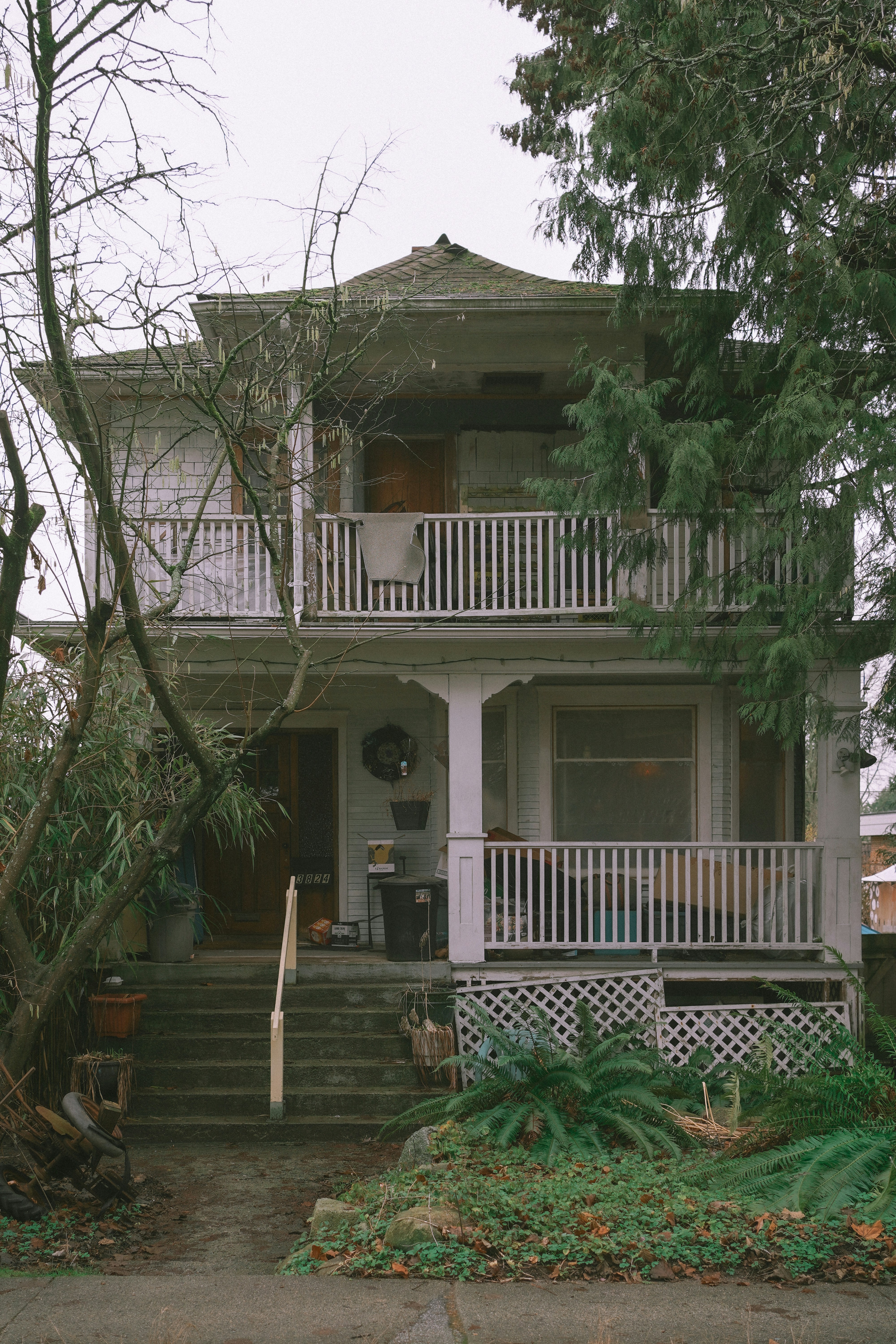 Veranda Echoes: A Quiet Two-Story Home Entwined with Ferns