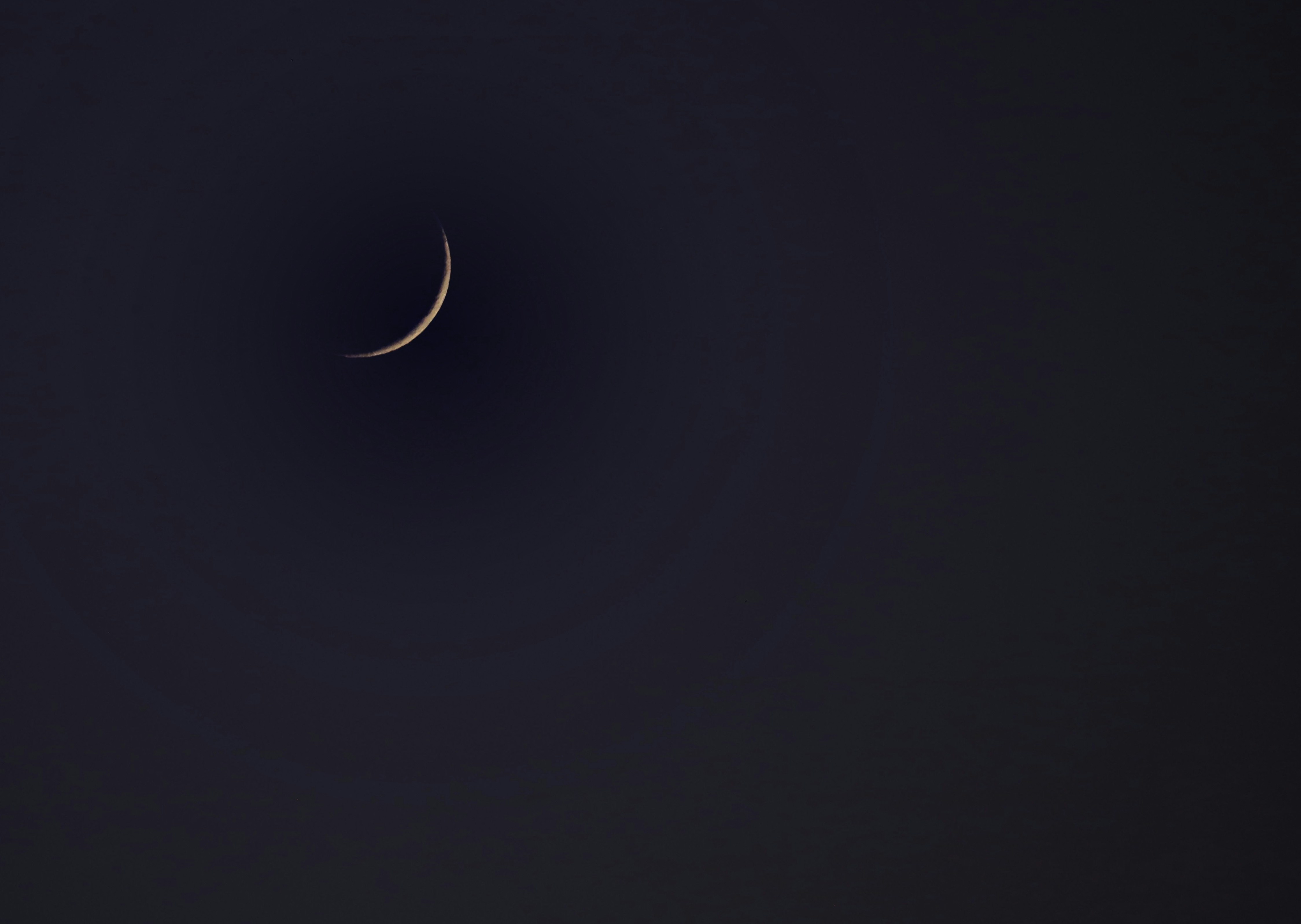 Home - cosmos prints