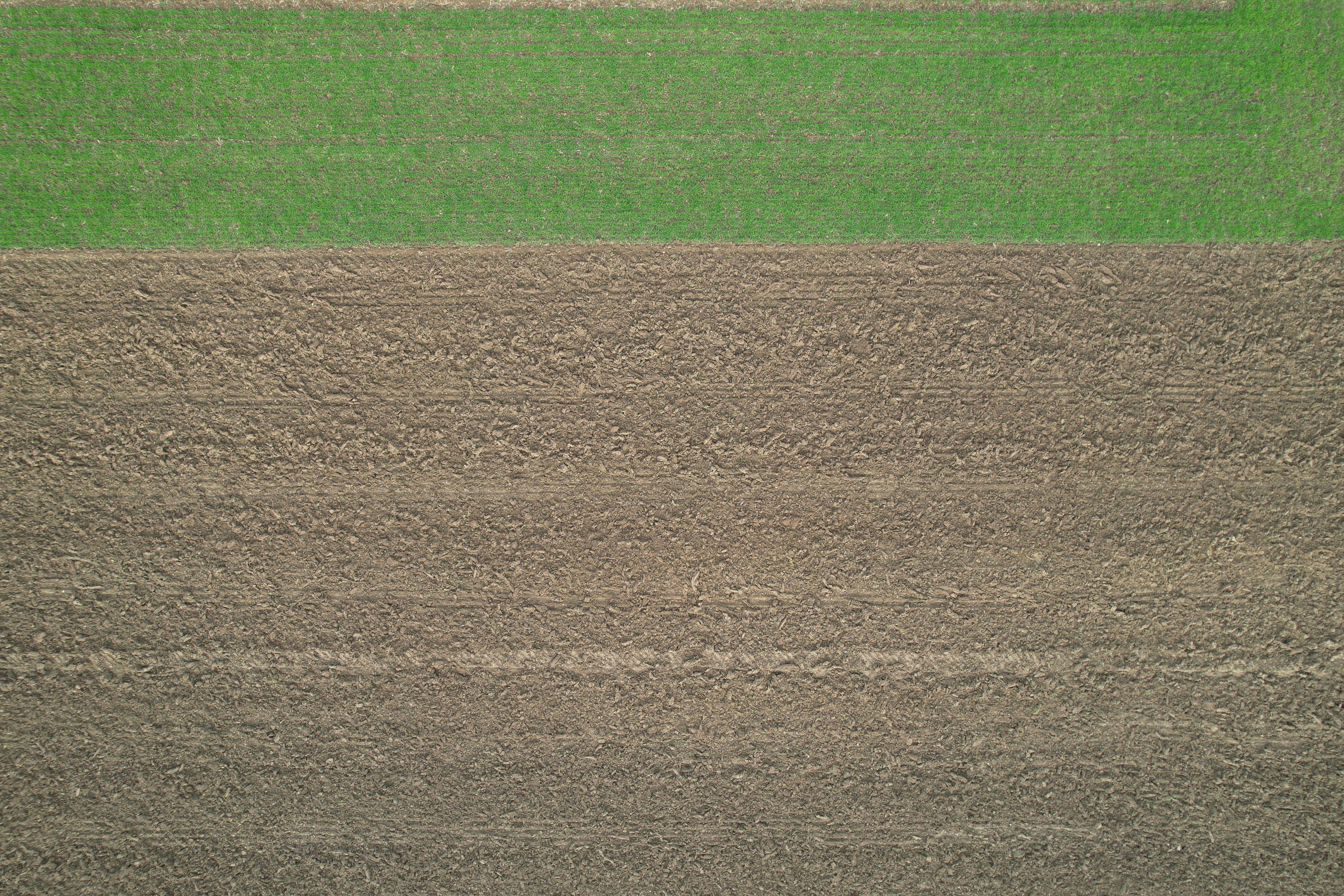 Photo by Bernd 📷 Dittrich with DJI Air 2S