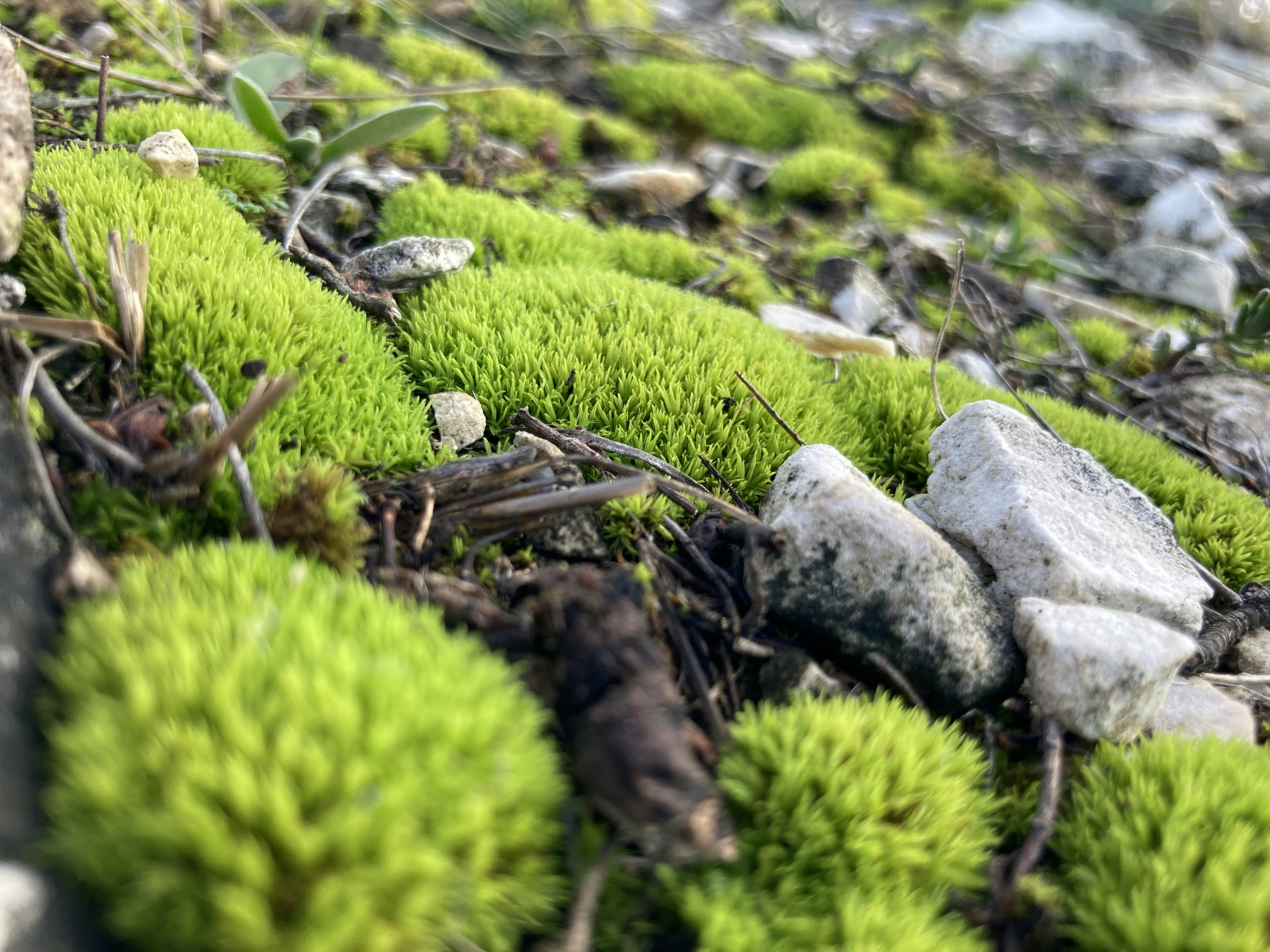 Photo by Balázs with Apple iPhone SE