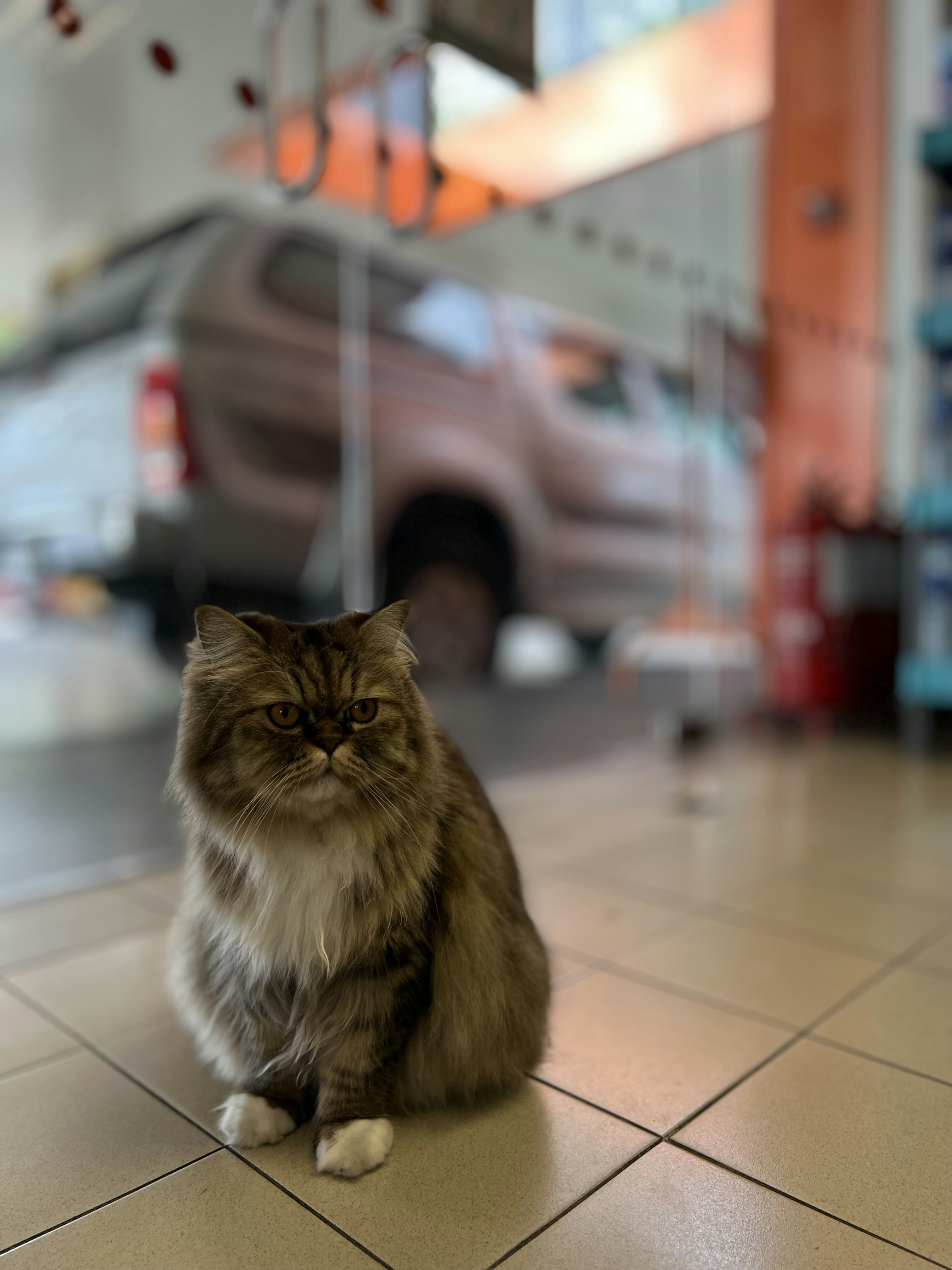 Samurai Stitch (@cyrusnumber78) | Komunitas Foto Unsplash