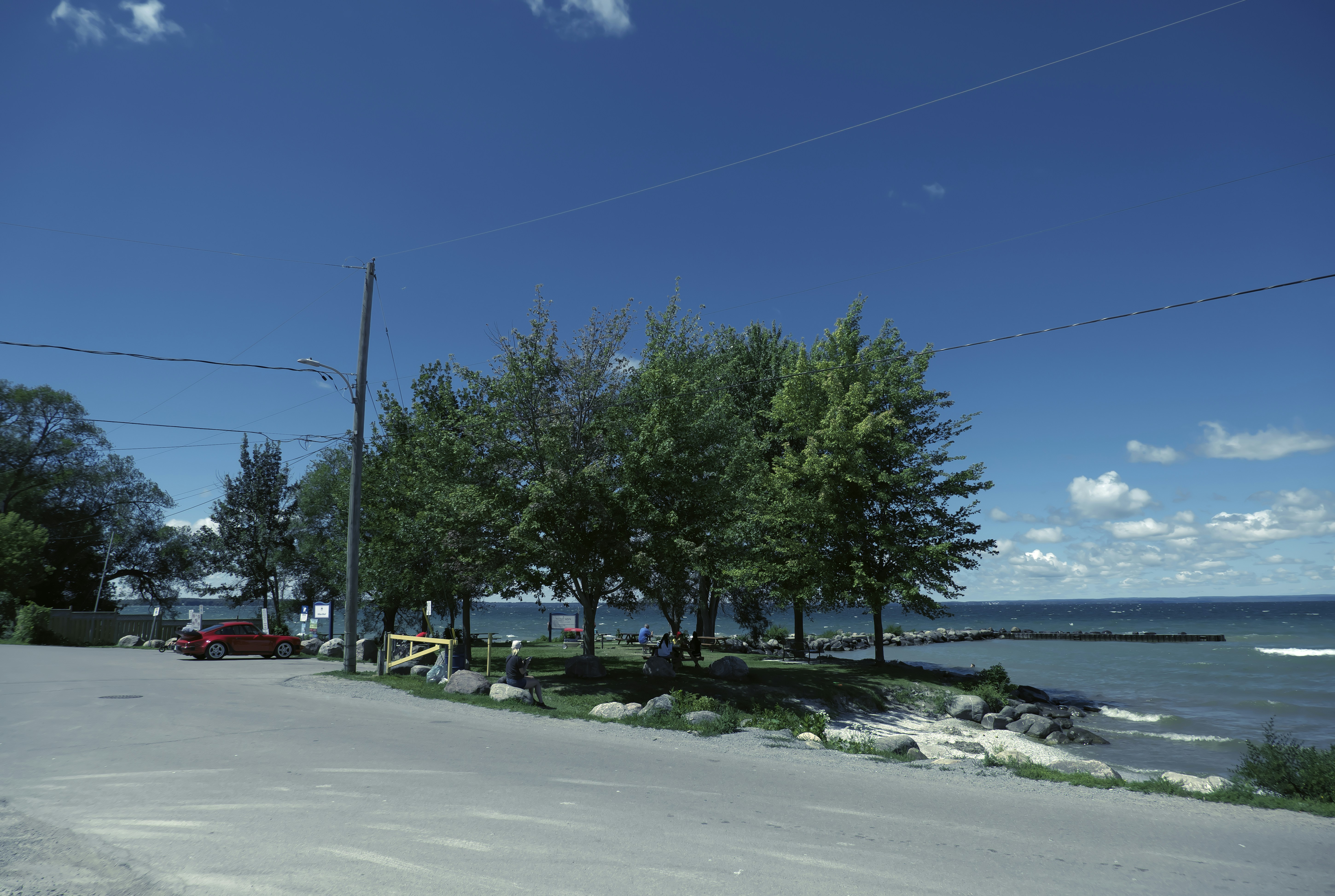 Trees lining a quiet lakeside road under a vibrant blue sky with scattered clouds.