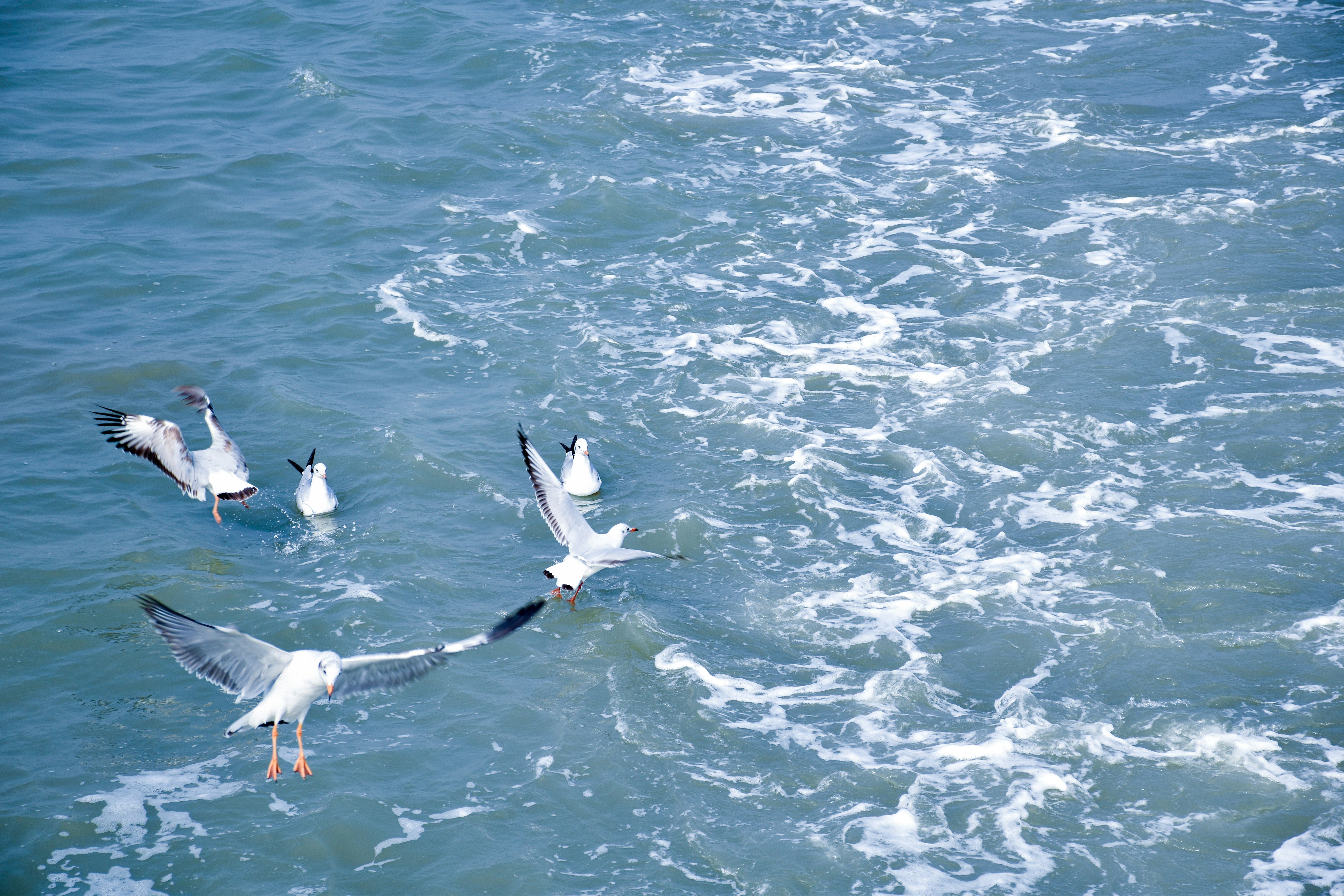 Photo by Md Arafat Ul Alam with Nikon D5600